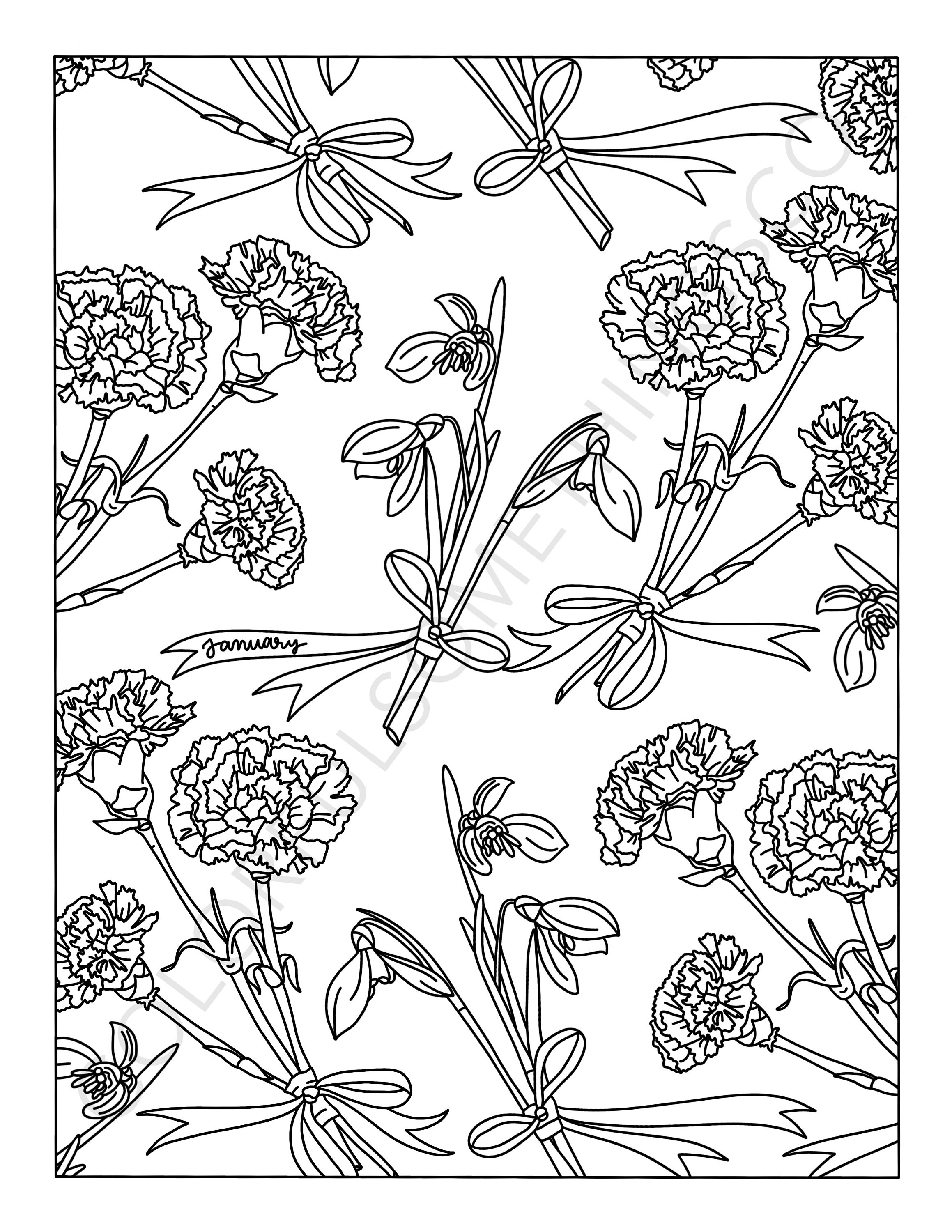 Birth Month Flower Coloring Pages Pack of 12 Floral Digital - Etsy ...