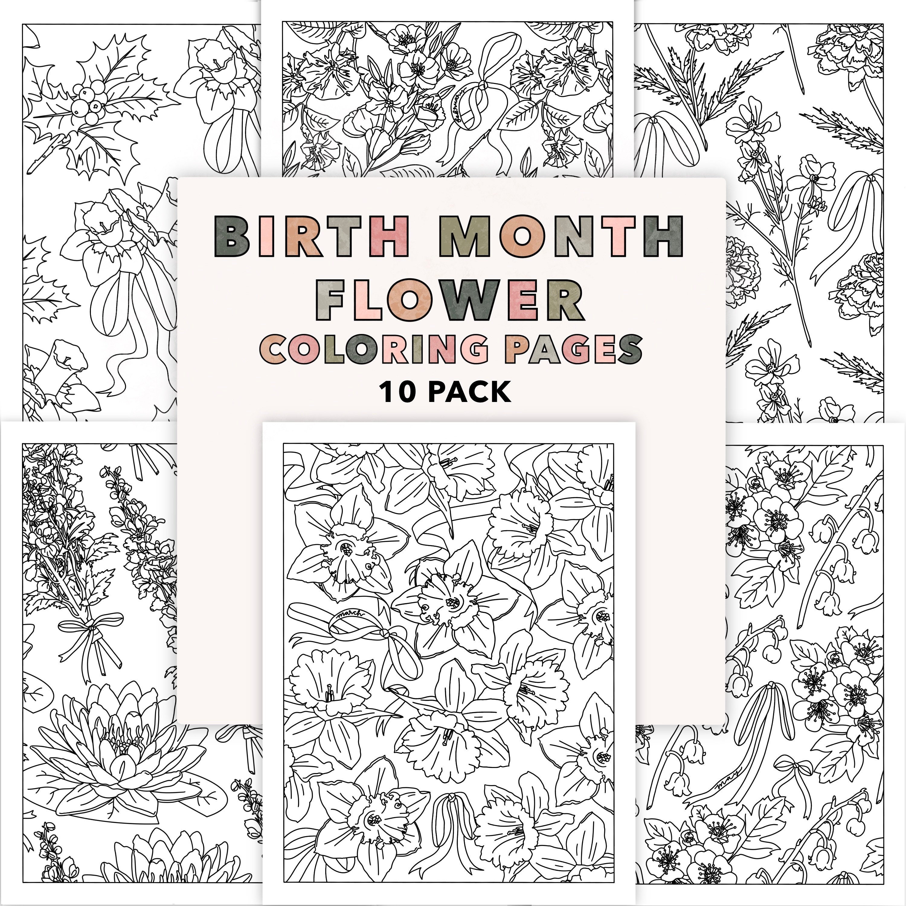 Birth Month Flower Coloring Pages Pack of 10 Floral Digital | Etsy