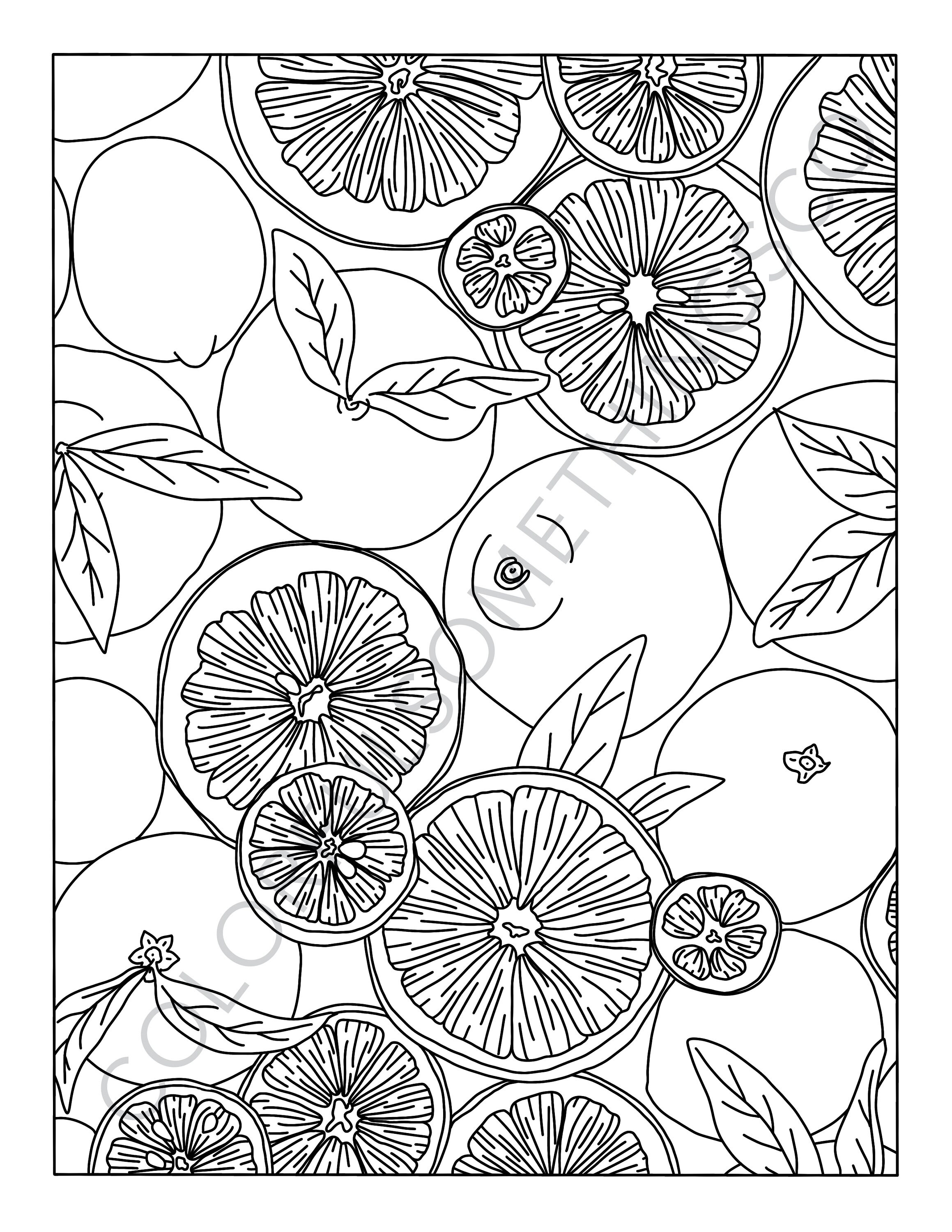 Summer Themed Coloring Pages Pack of 10 Summer Digital - Etsy