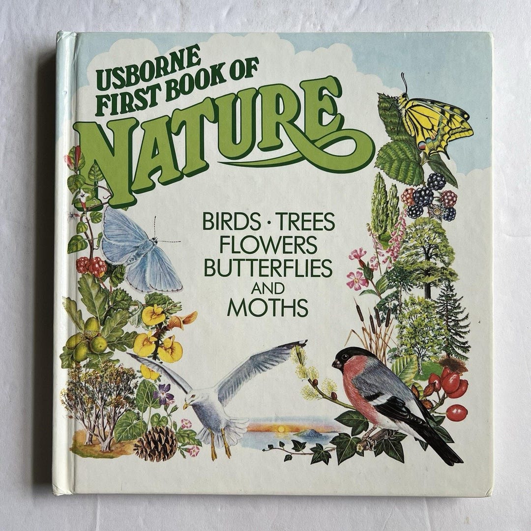 Usborne First Book of Nature Birds Trees Flowers Butterflies and Moths ...