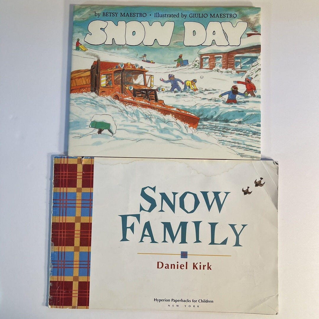 Set of 2 Childrens Story Books Snow Day and Snow Family Paperback - Etsy