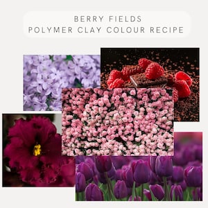 Polymer Clay Color Recipe Polymer Clay Color Mixing Sculpey Premo ...