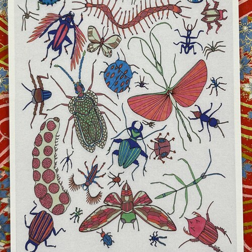 Bugs Print Creepy Crawlies Bug Spider Worm Beetle - Etsy