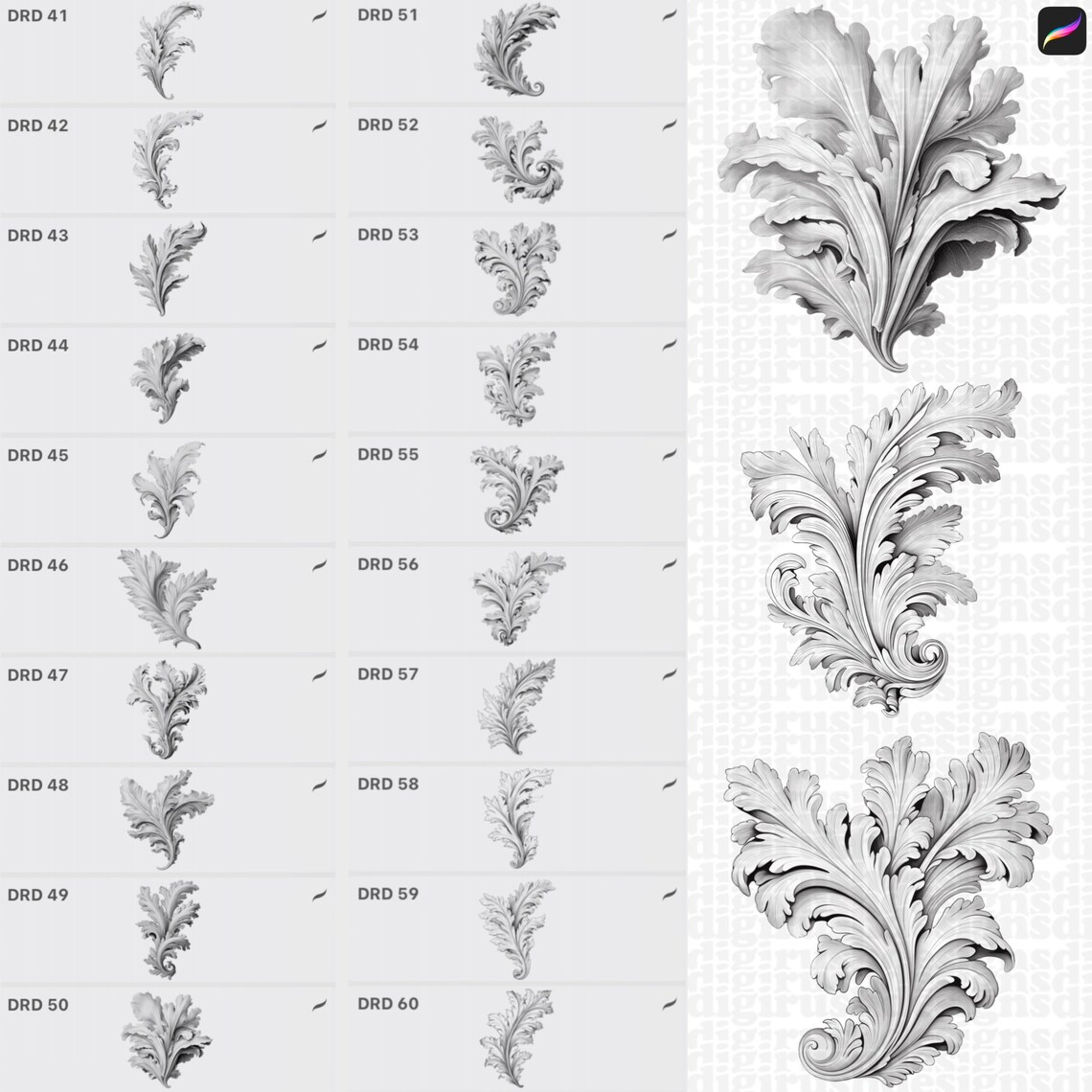 Acanthus Leaf Procreate Stamps Floral Decorative Digital Brushes Ornate Baroque Classical Line ...