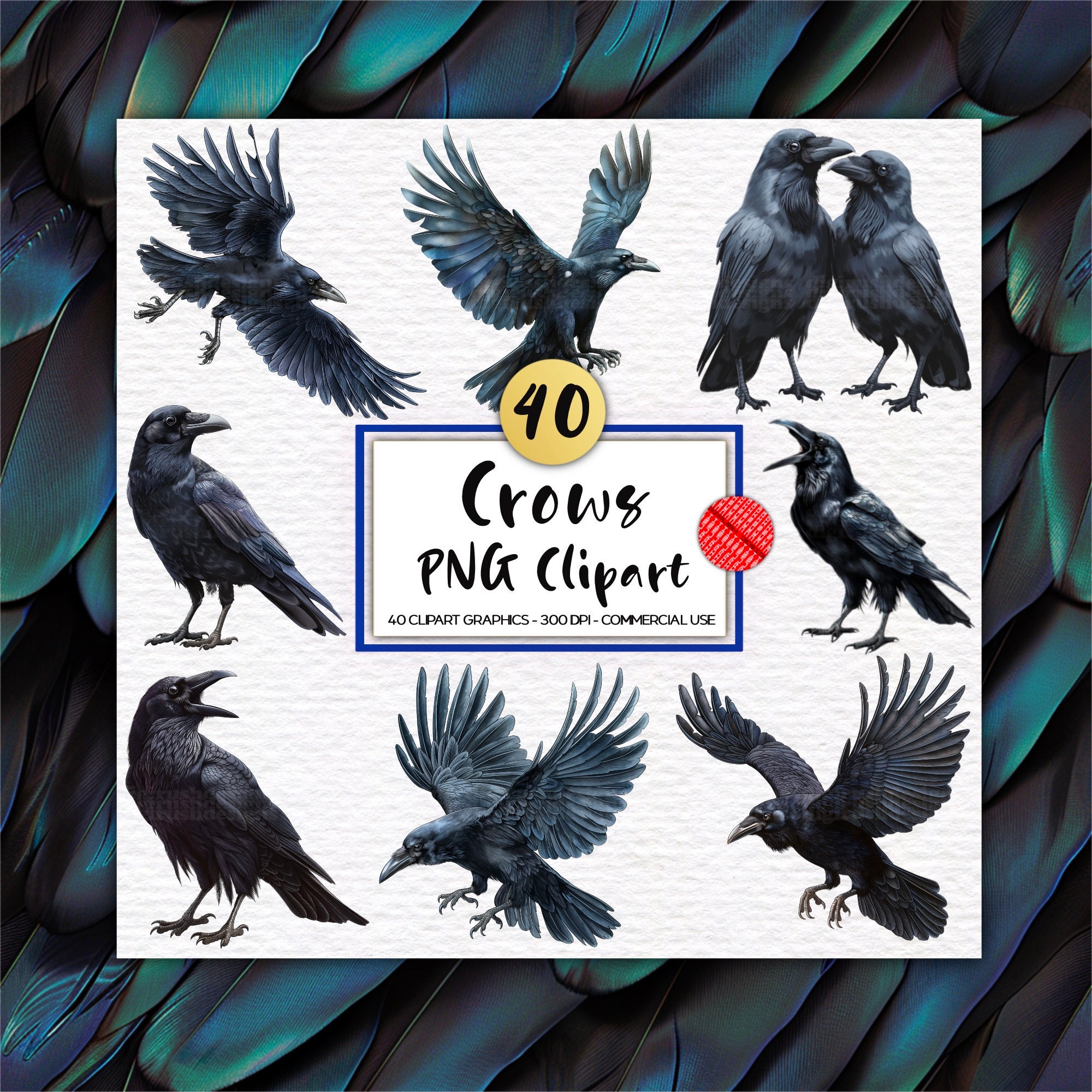 Crow Clipart PNG Digital Download Crow Clip Art Bundle Black Crow ...