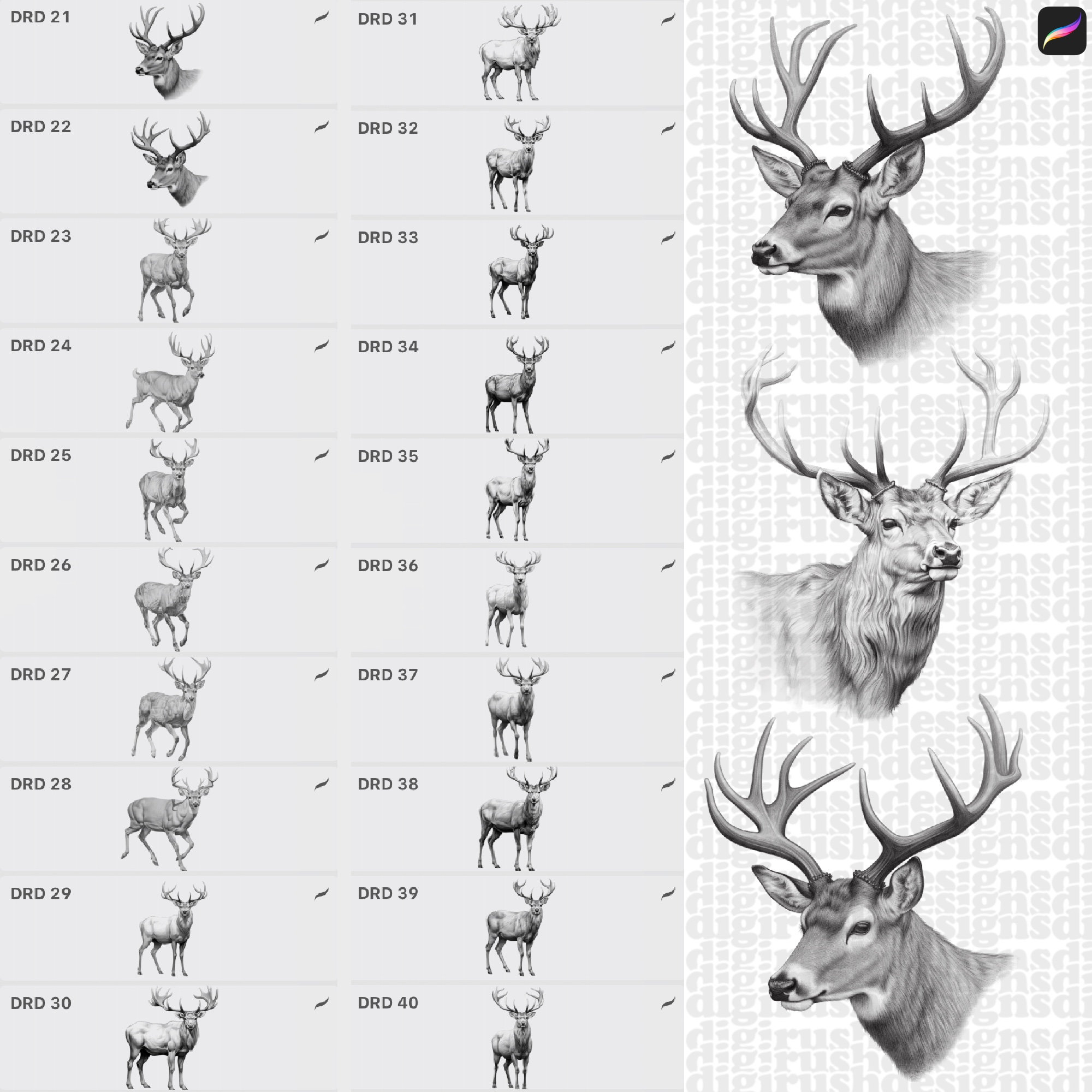 Procreate Stag Stamps Procreate Brushes Deer Tattoo Stamps - Etsy