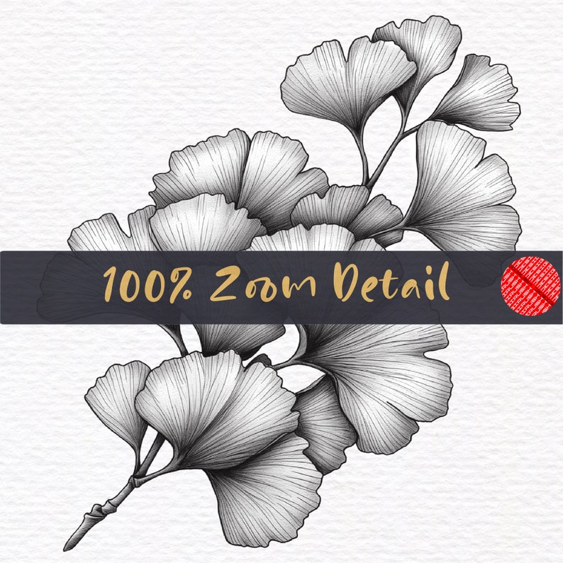 Ginkgo Leaf Procreate Stamps, Ginkgo Procreate Brushes, Ginkgo Biloba ...