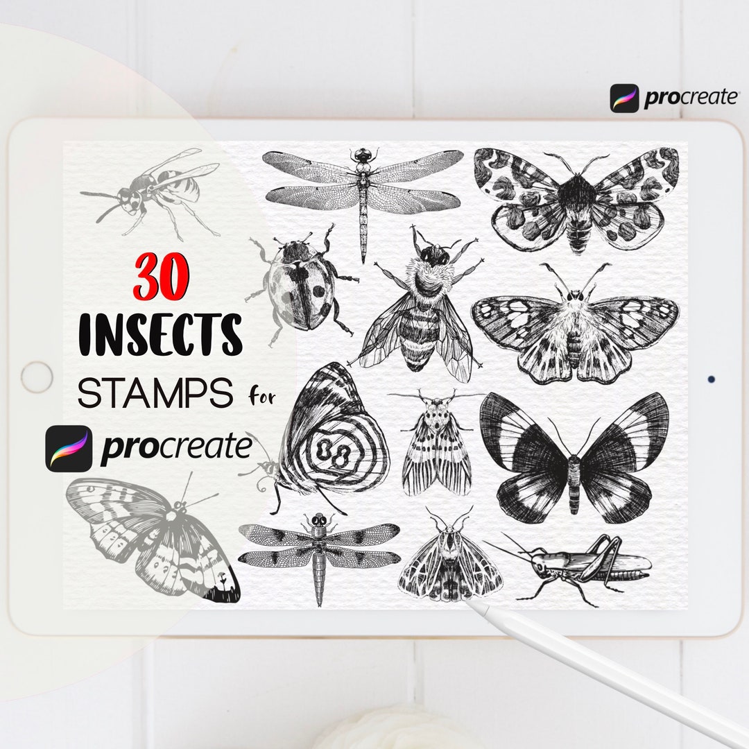 Insects Procreate Stamps Insect Brushes Moths Butterflies - Etsy