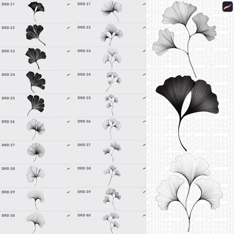 Ginkgo Leaf Procreate Stamps, Ginkgo Procreate Brushes, Ginkgo Biloba ...