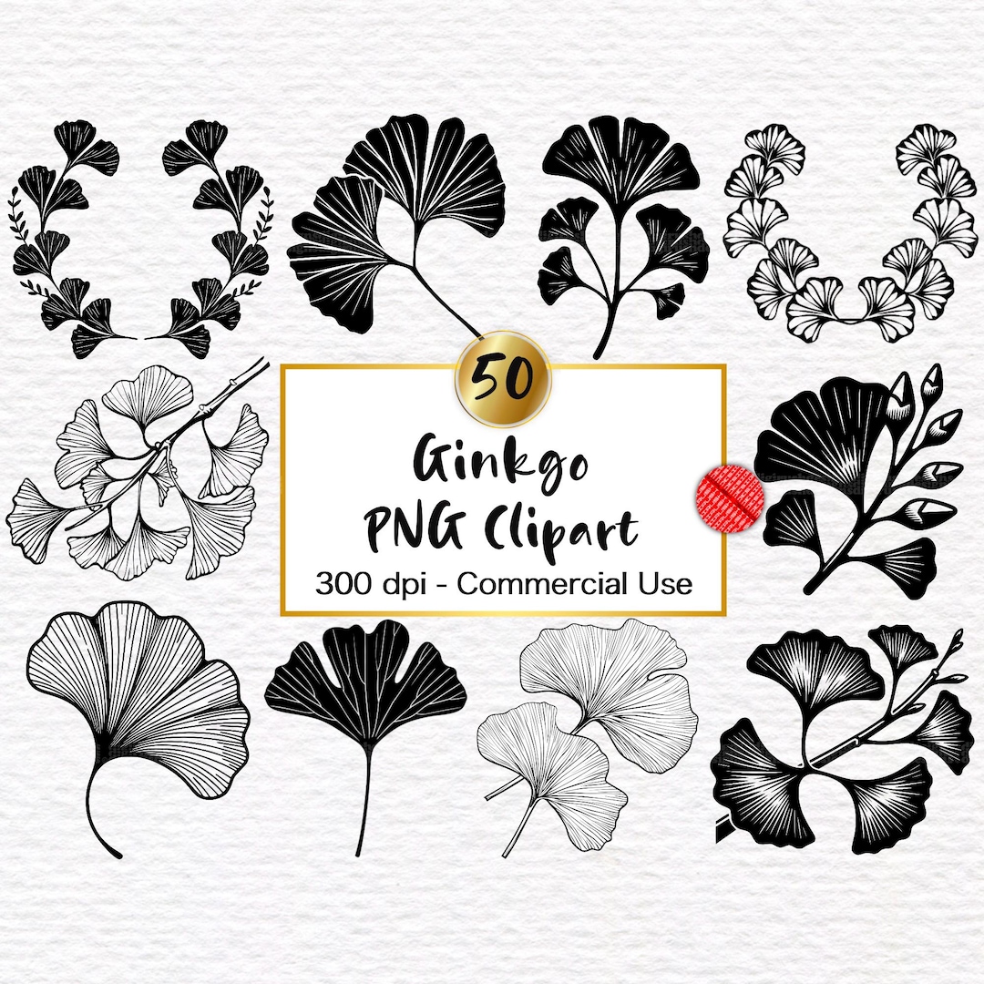 Ginkgo Leaf Clipart PNG Digital Download Ginkgo Line Art Printable ...