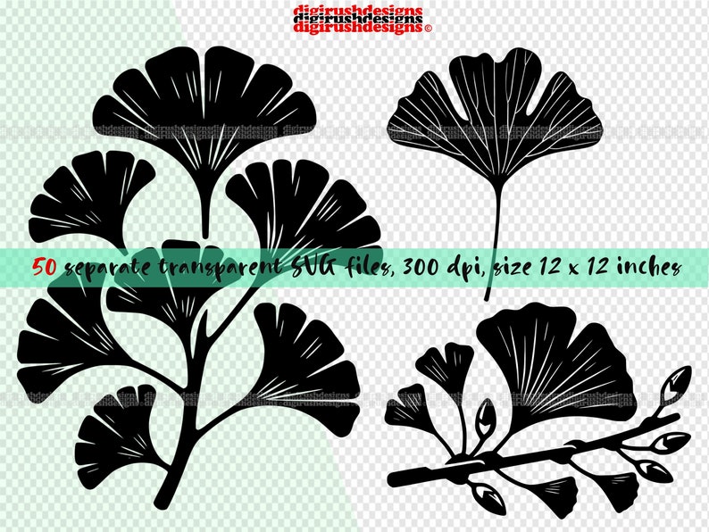 Ginkgo Leaf SVG Digital Download Ginkgo Line Art Vector Graphics Ginkgo ...