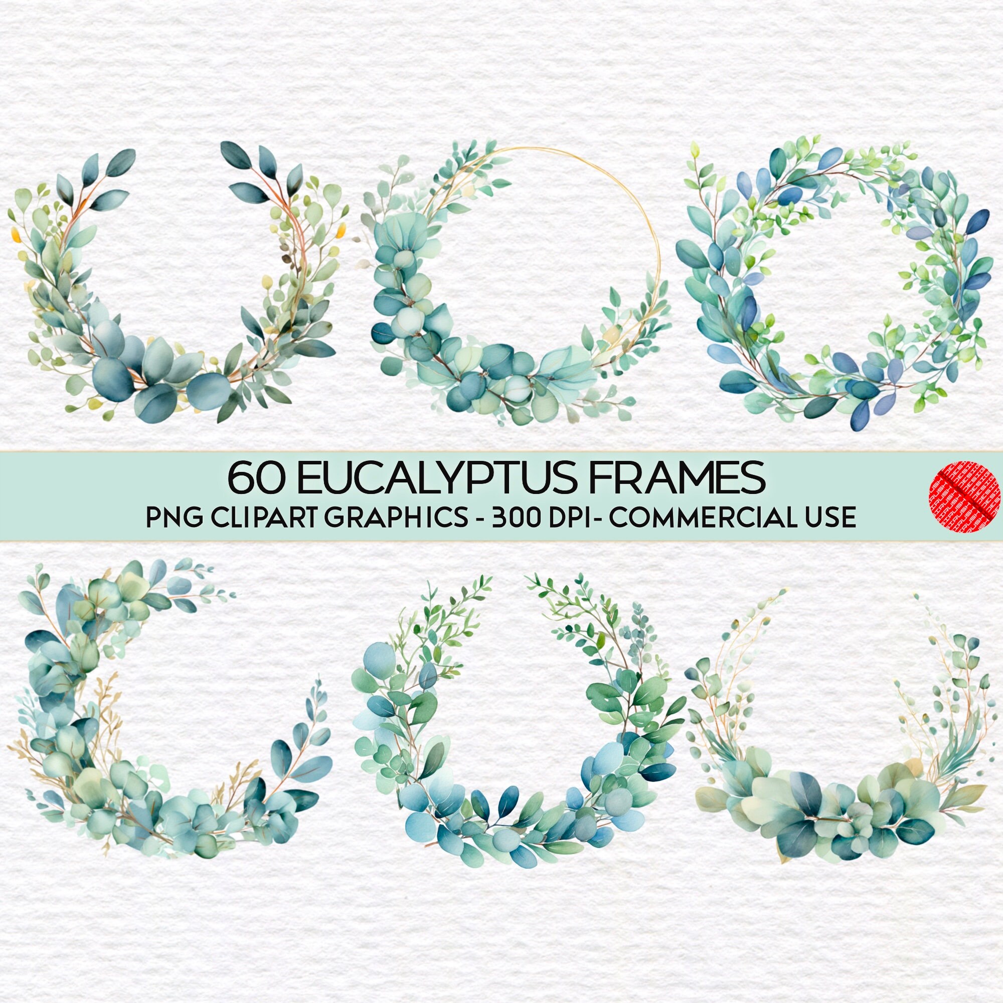 Eucalyptus Frames Clipart Watercolor Foliage PNG Botanical Leaves Clip ...