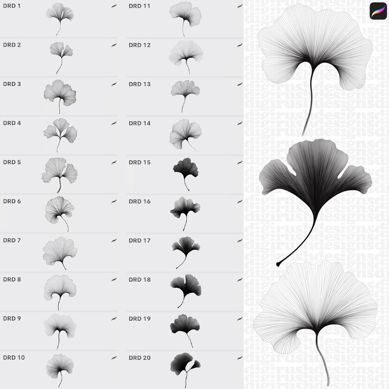 Ginkgo Leaf Procreate Stamps, Ginkgo Procreate Brushes, Ginkgo Biloba ...