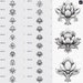 Procreate Baroque Flower Stamps, Lotus Flower Brush, Renaissance ...