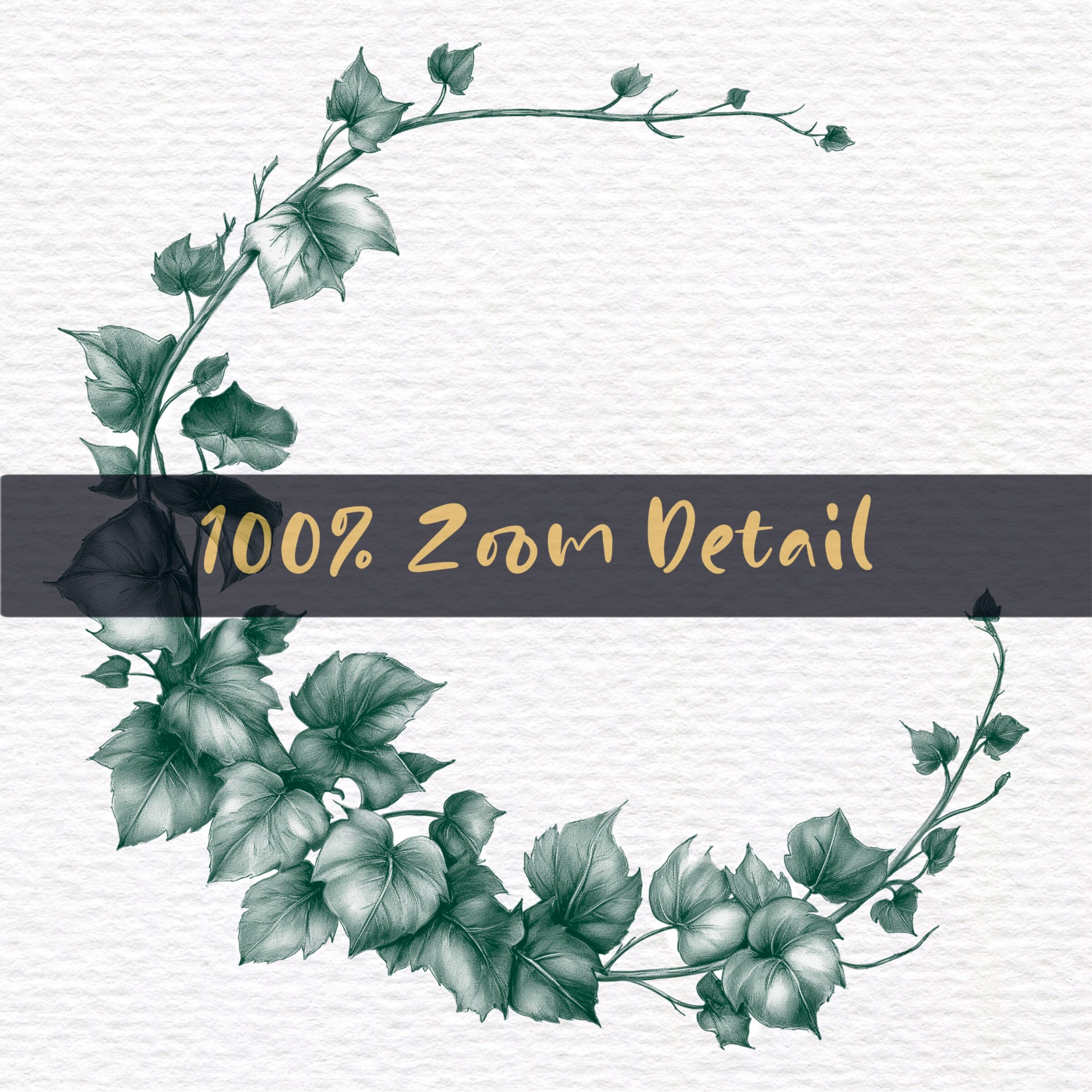 40 Ivy Vine Frames Procreate Stamps: Line Art Wreath Elements (digital ...