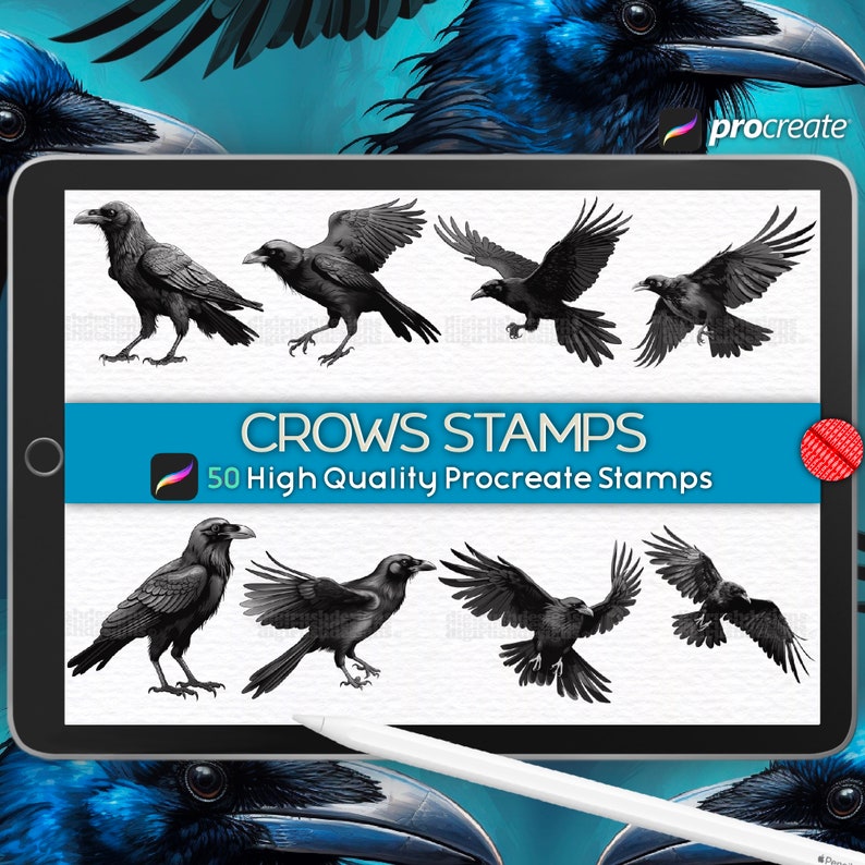 Crows Procreate Stamps, Crow Procreate Brushes, Realistic Crow Birds ...