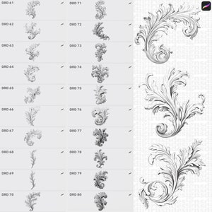 Acanthus Leaf Procreate Stamps Floral Decorative Digital Brushes Ornate Baroque Classical Line ...