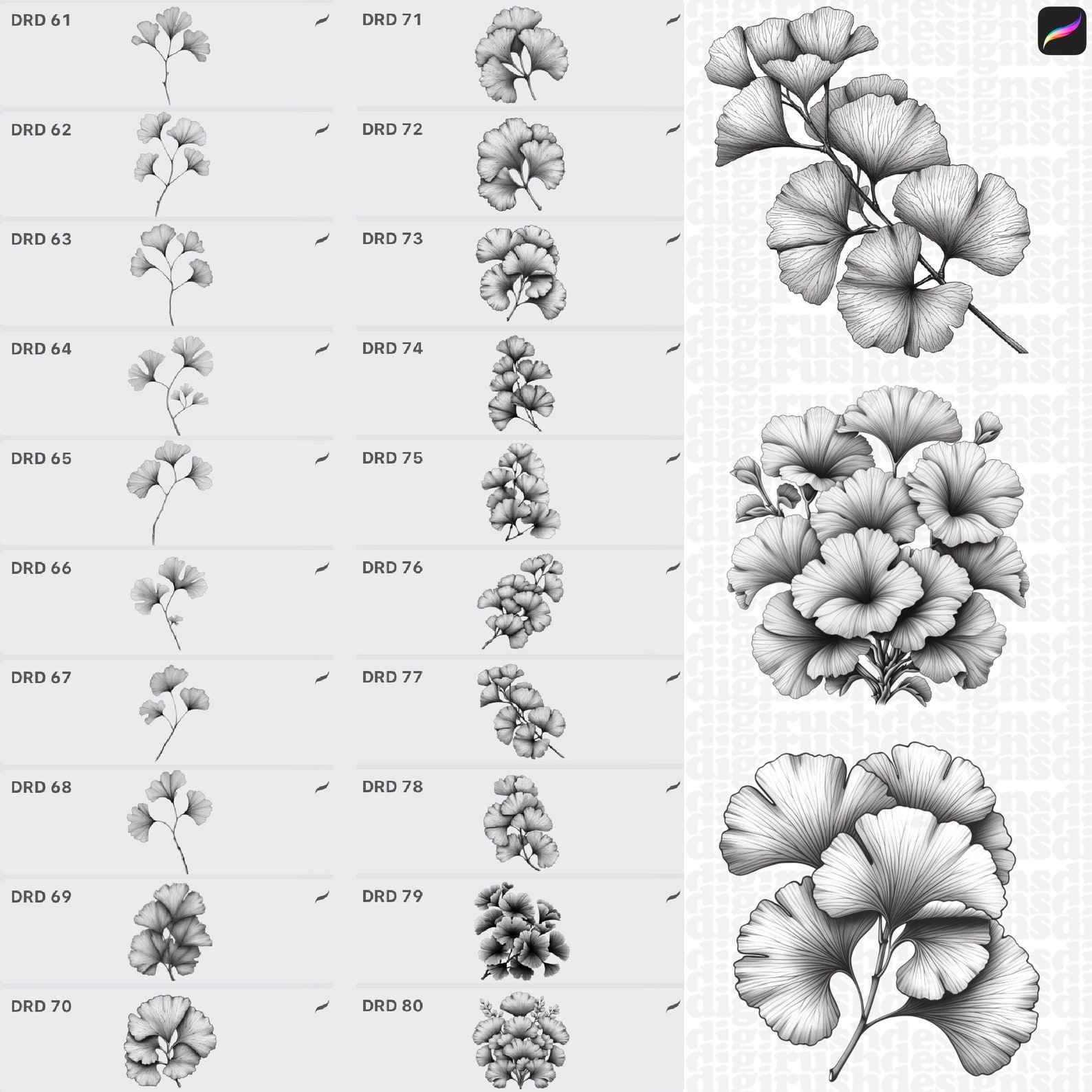 Ginkgo Leaf Procreate Stamps, Ginkgo Procreate Brushes, Ginkgo Biloba ...