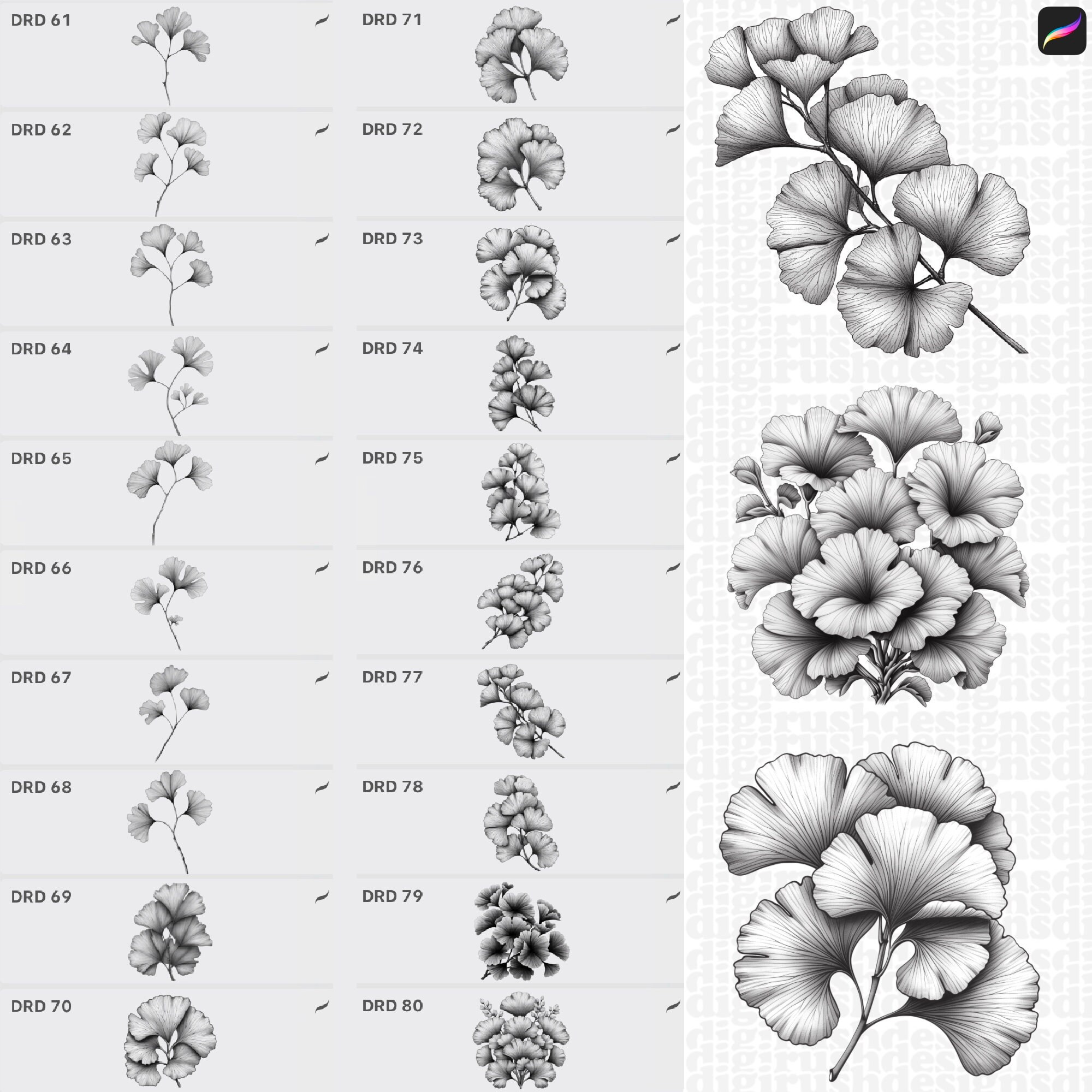 Ginkgo Leaf Procreate Stamps, Ginkgo Procreate Brushes, Ginkgo Biloba ...