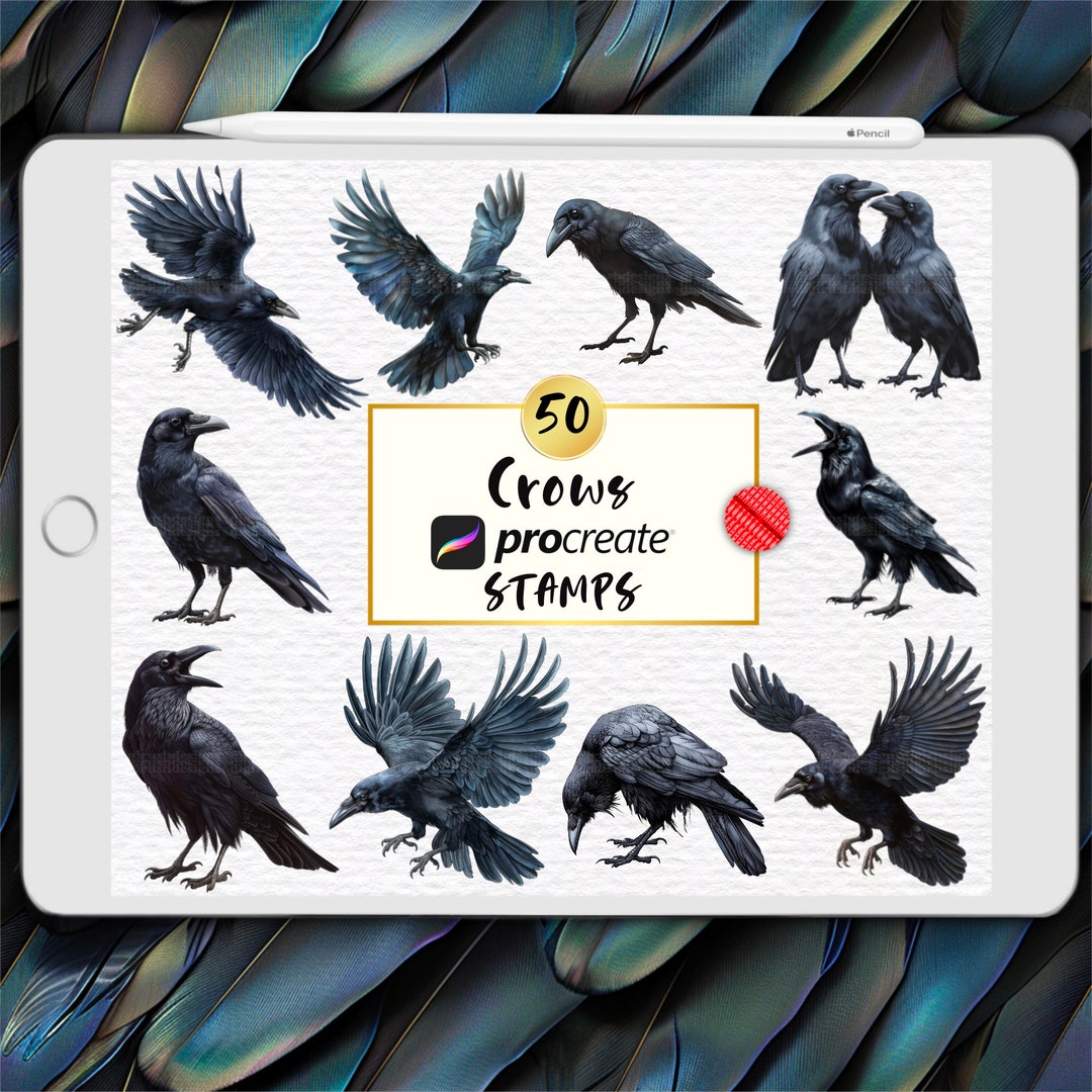 Crows Procreate Stamps, Crow Procreate Brushes, Realistic Crow Birds ...