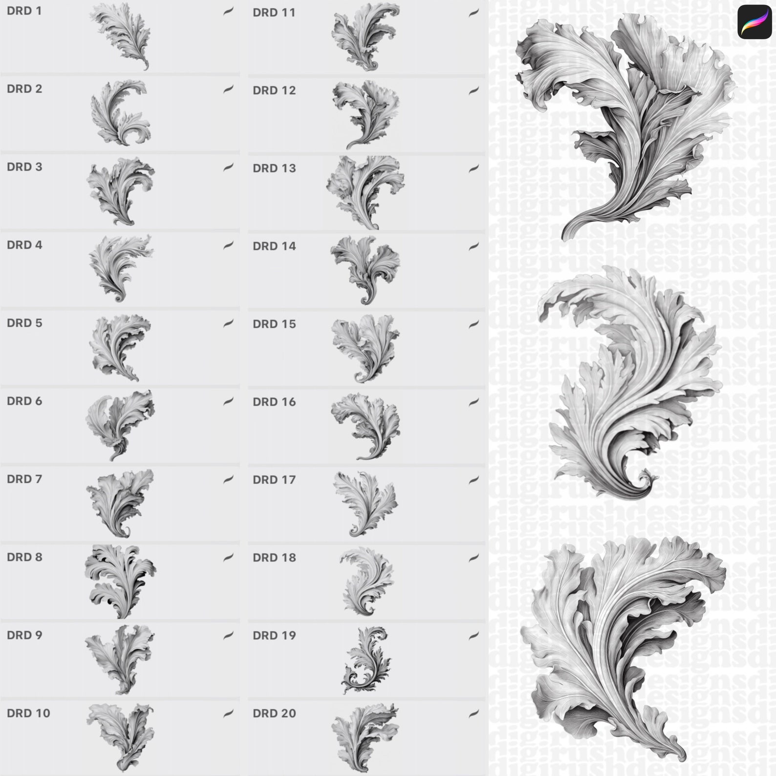 Acanthus Leaf Procreate Stamps Floral Decorative Digital Brushes Ornate Baroque Classical Line ...