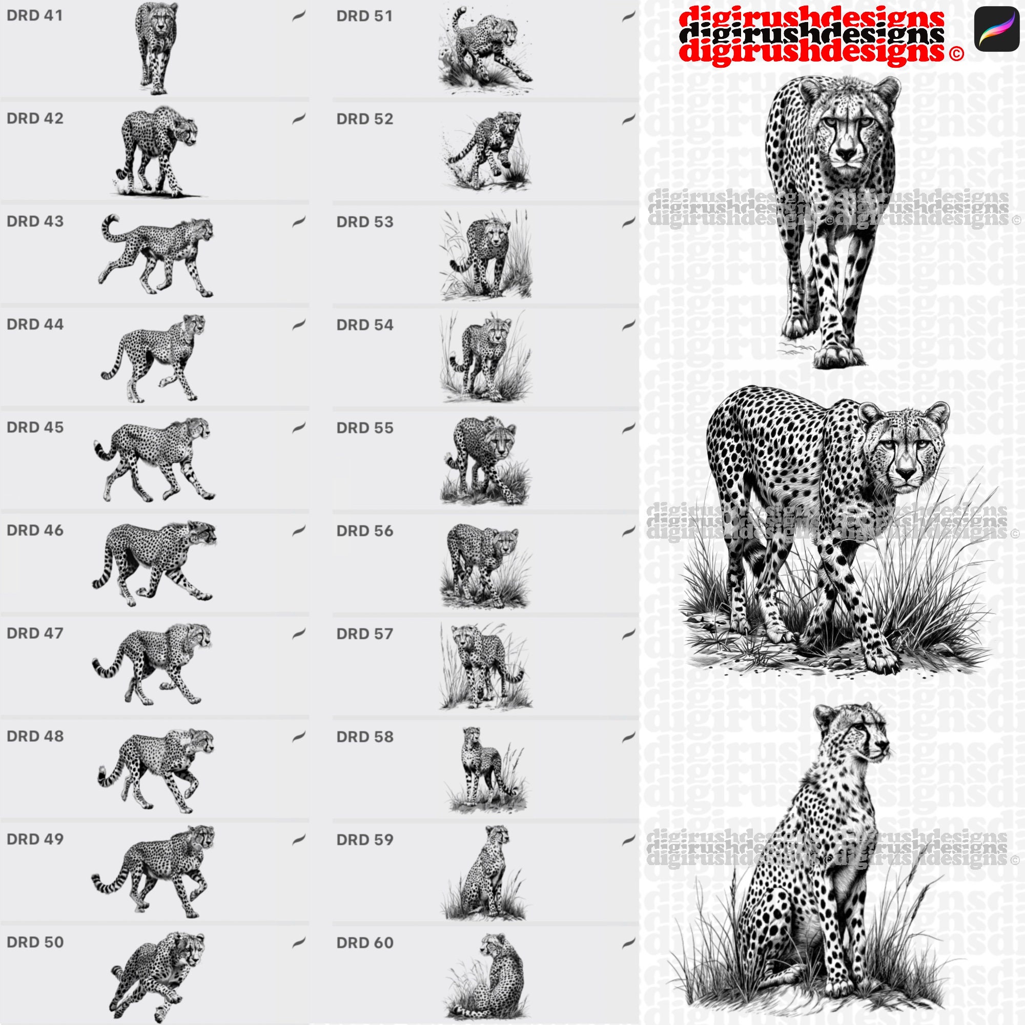 70 Cheetah Procreate Stamps: Animal Silhouette (digital Brush Set) - Etsy