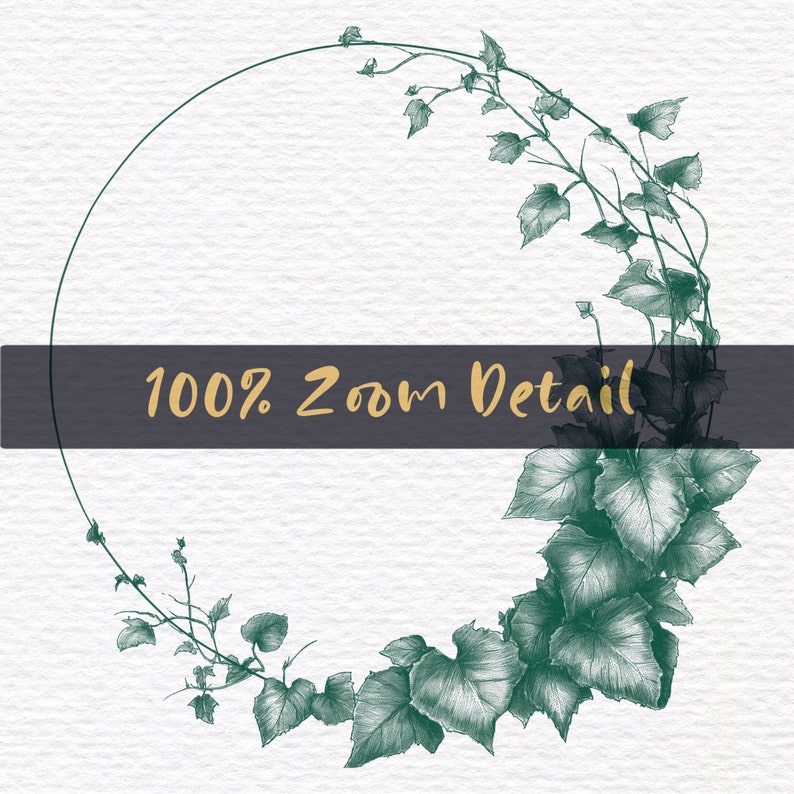 40 Ivy Vine Frames Procreate Stamps: Line Art Wreath Elements (digital ...