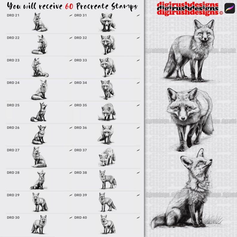 Procreate Foxes Stamps Procreate Brushes Fox Tattoo Stamps Fox Line Art Digital Brush Set ...