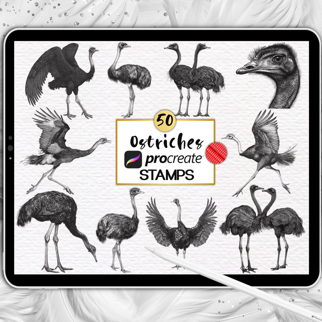 Ostrich Procreate Stamps, Ostriches Procreate Brushes, Realistic ...