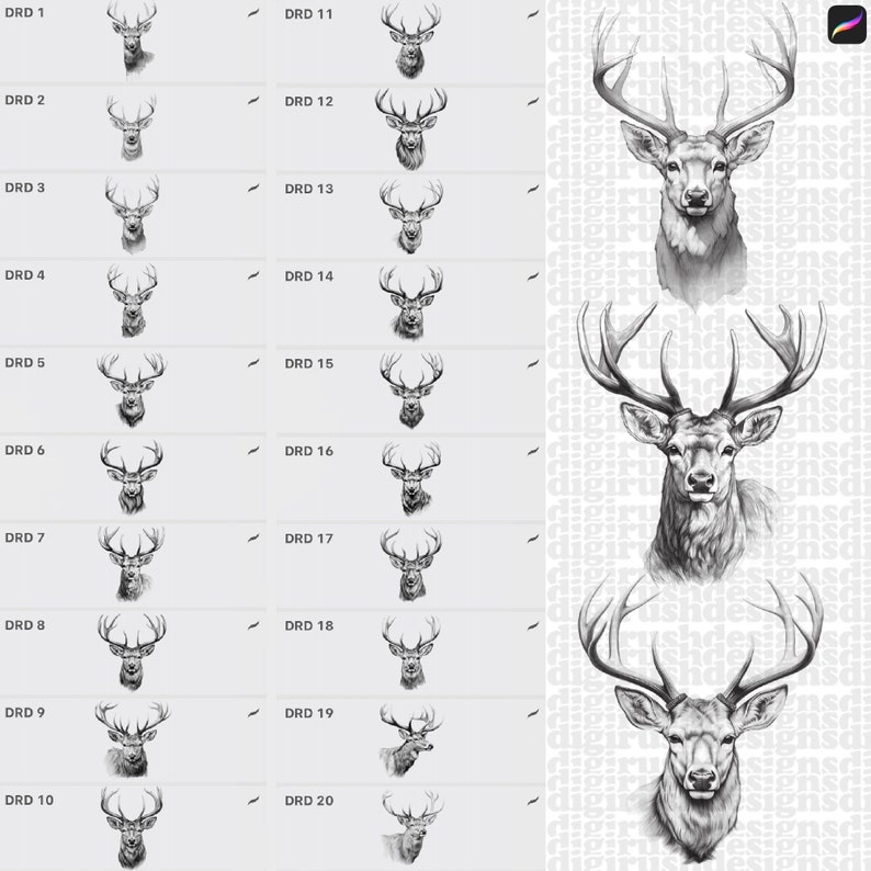 Procreate Stag Stamps Procreate Brushes Deer Tattoo Stamps Moose ...