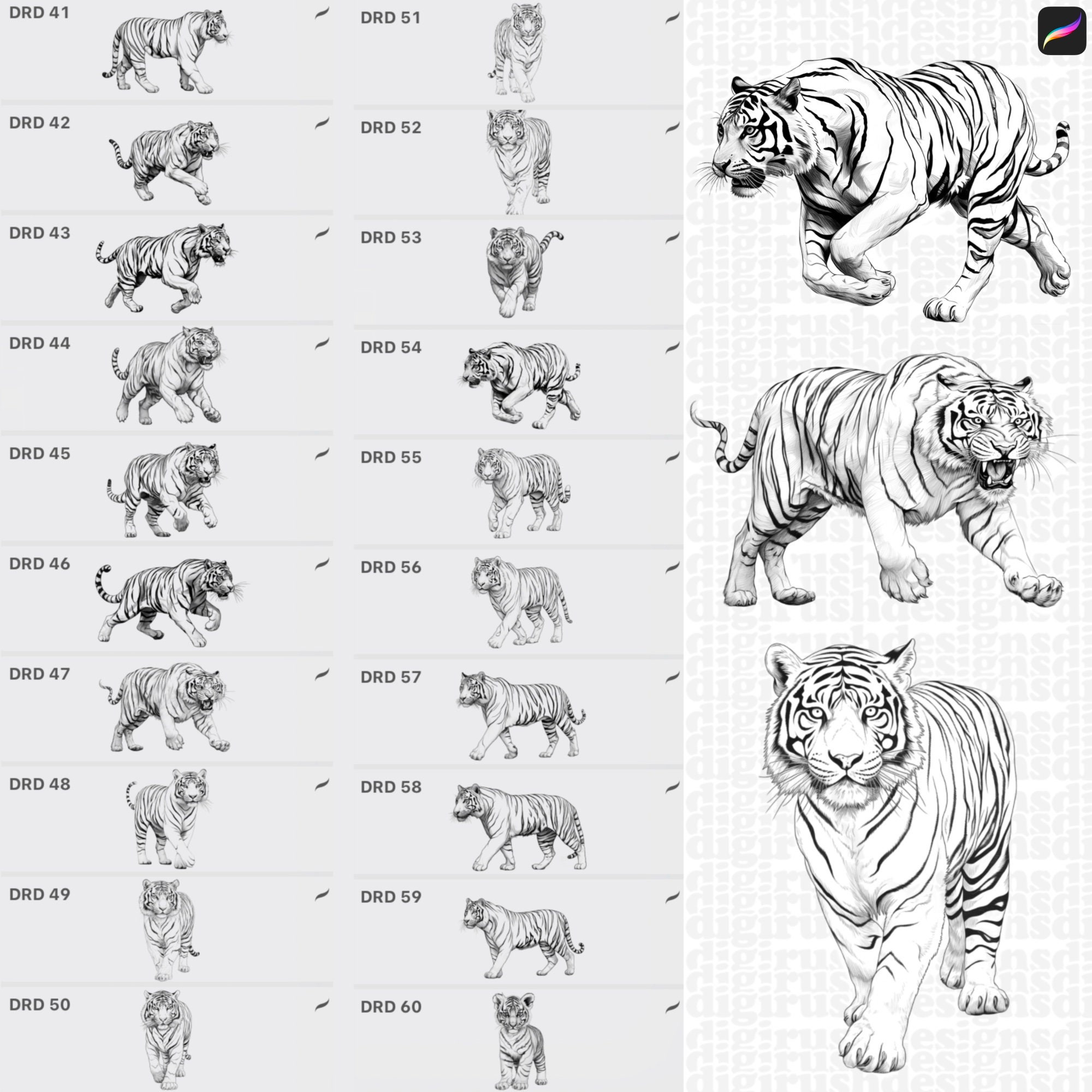Procreate Tiger Stamps Procreate Brushes Tiger Tattoo Stamps Tigers ...