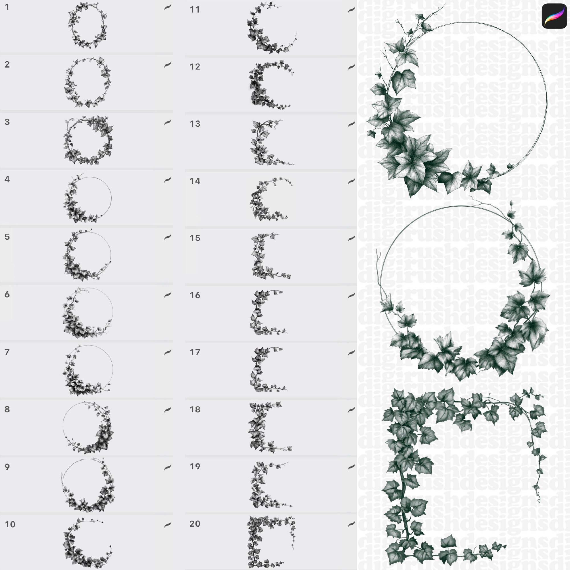 40 Ivy Vine Frames Procreate Stamps: Line Art Wreath Elements (digital ...
