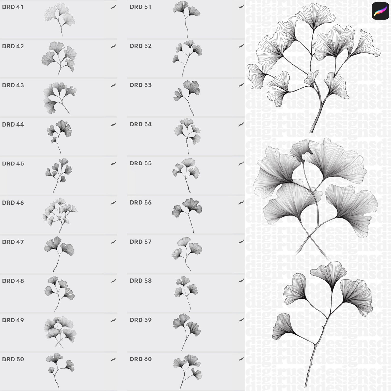 Ginkgo Leaf Procreate Stamps, Ginkgo Procreate Brushes, Ginkgo Biloba ...