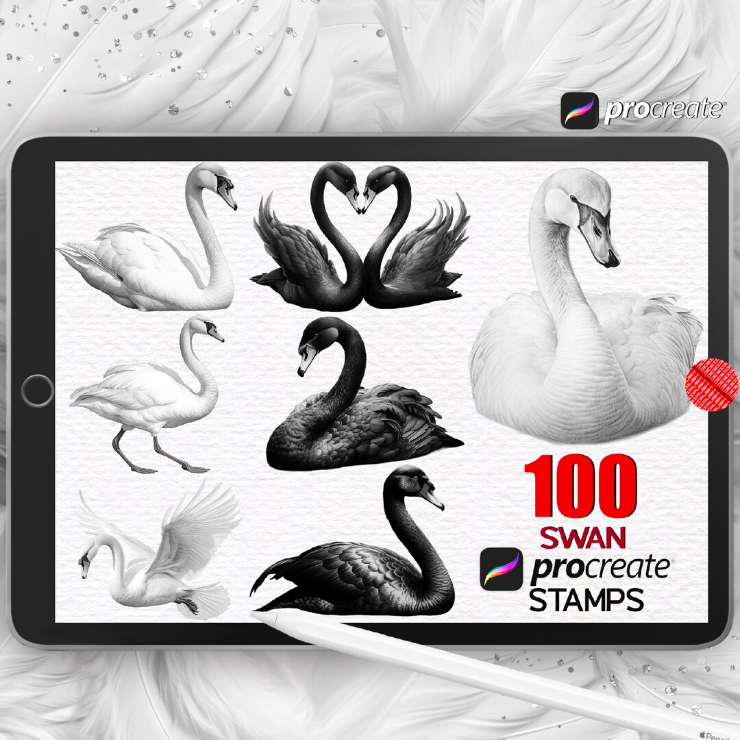 Procreate Swan Stamps Procreate Brushes Swan Tattoo Stamps Black Swan ...