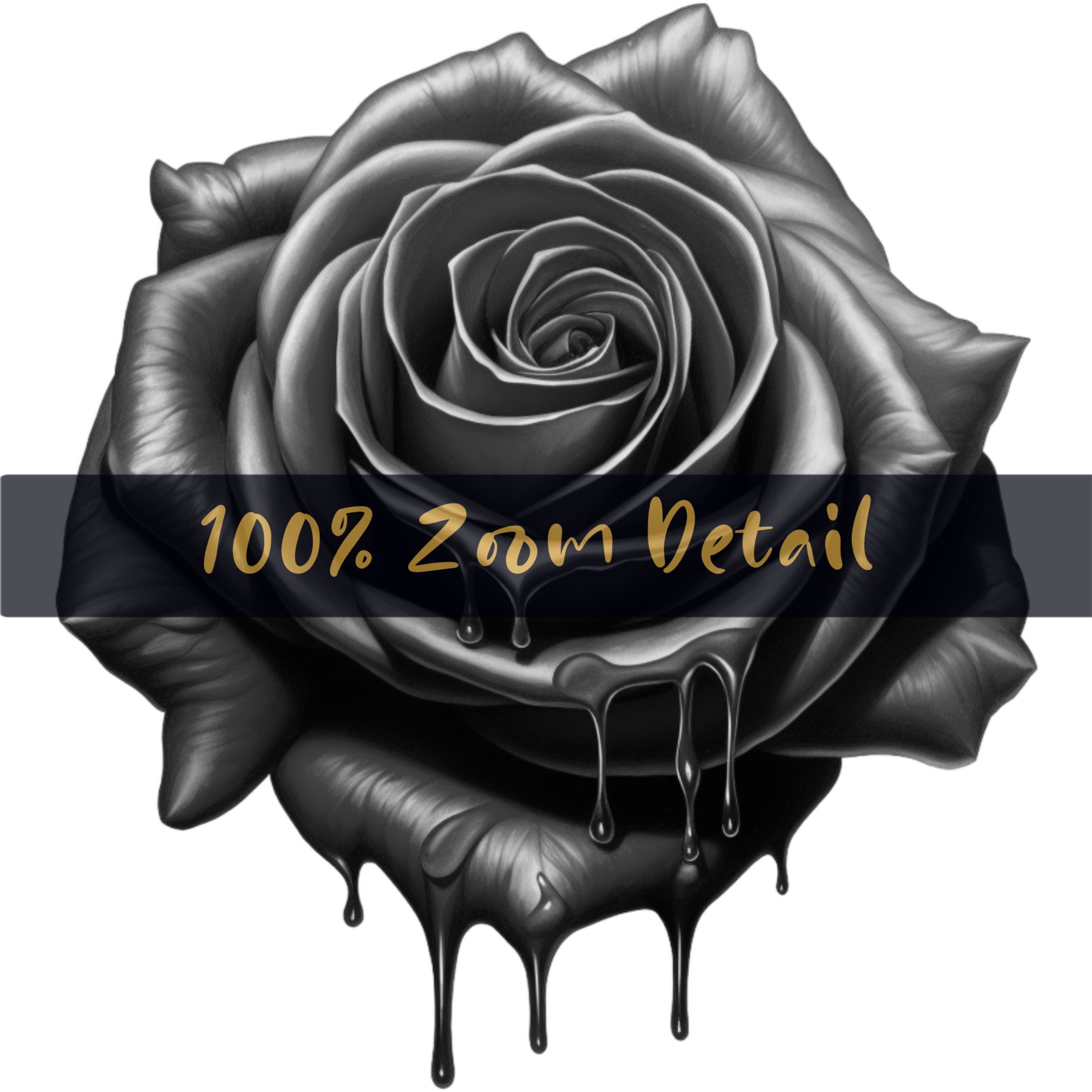Roses Procreate Stamps Drip Roses Brushes, Valentines Procreate Bundle ...