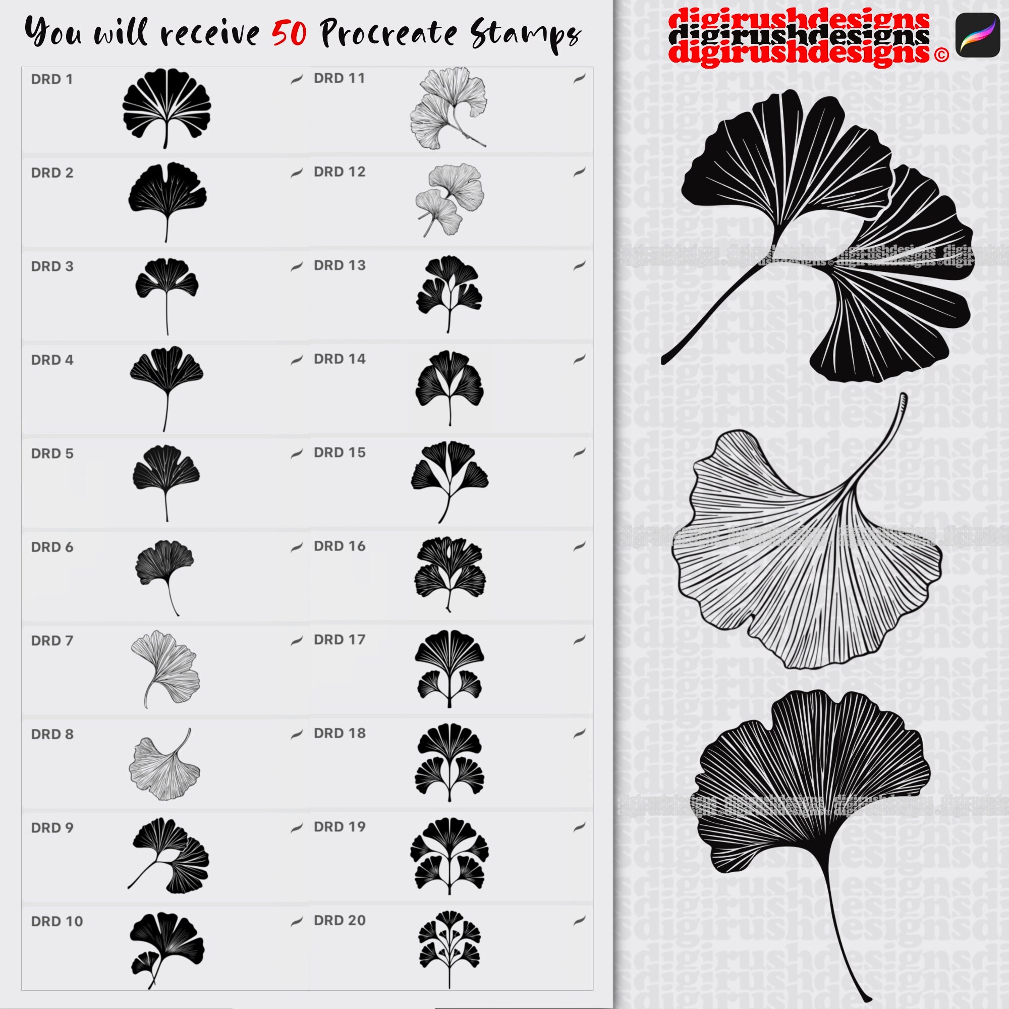 Ginkgo Leaf Procreate Stamps, Ginkgo Procreate Brushes, Ginkgo Biloba ...