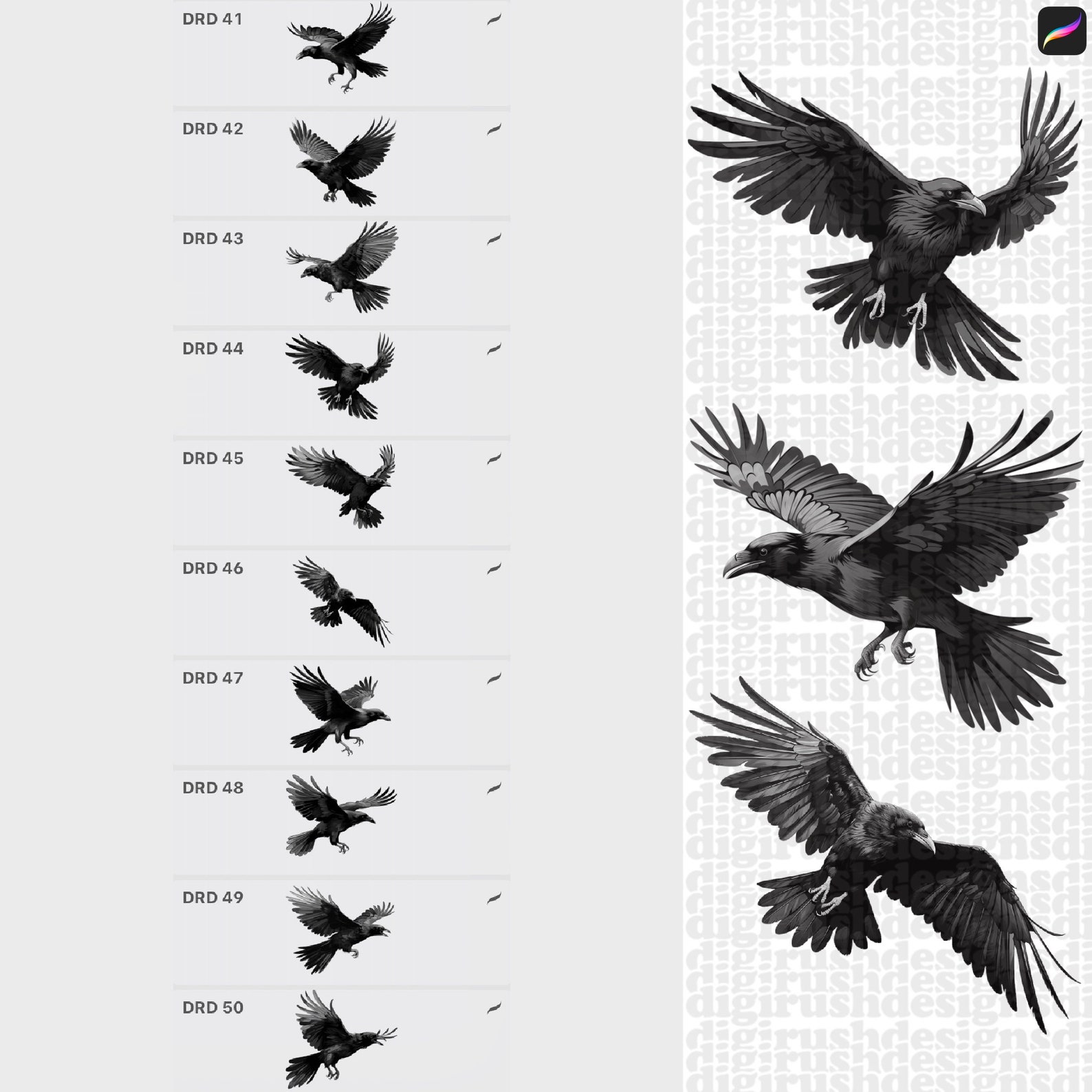 Crows Procreate Stamps, Crow Procreate Brushes, Realistic Crow Birds Stamps, Flying Crow Birds ...