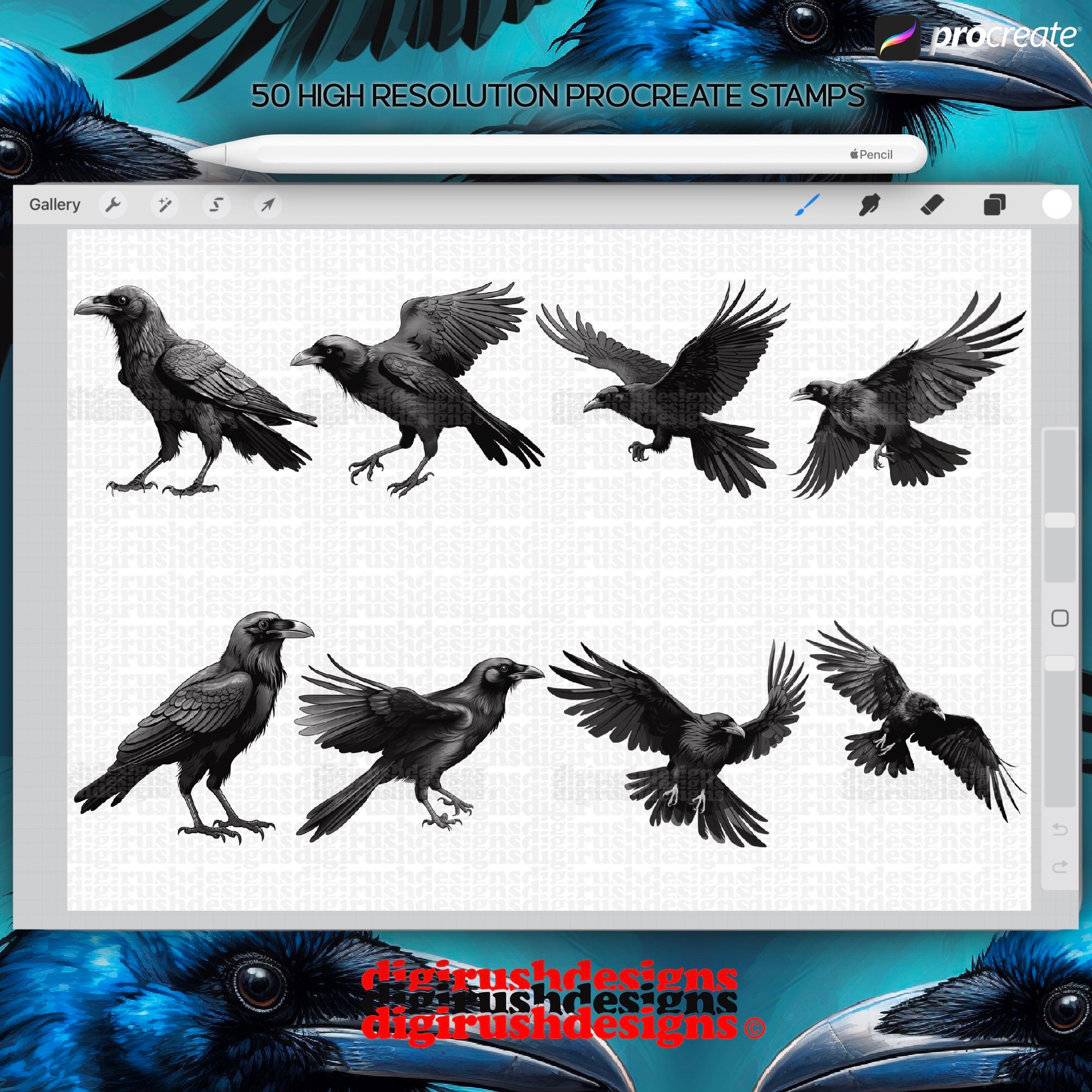 Crows Procreate Stamps, Crow Procreate Brushes, Realistic Crow Birds ...