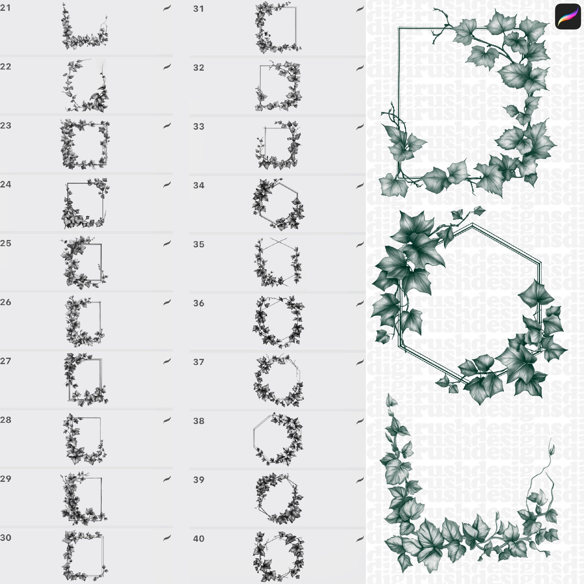 40 Ivy Vine Frames Procreate Stamps: Line Art Wreath Elements (digital ...