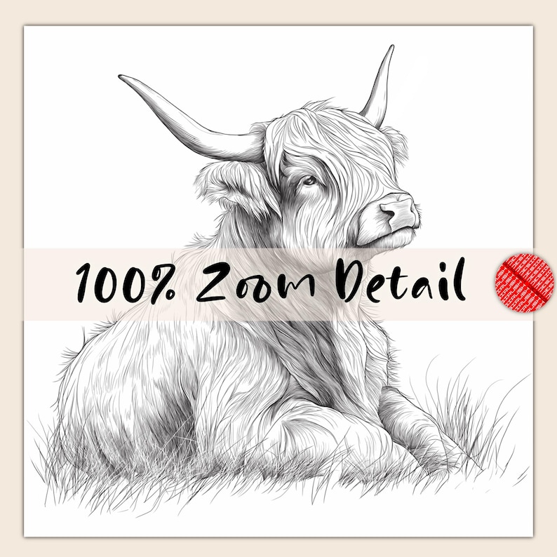 Highland Cow Procreate Stamps Rustic Farmhouse Cow Procreate Brushes ...