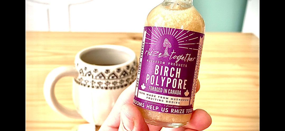 Birch Polypore Tincture Mushroom Tincture Dual Extract Birch Polypore