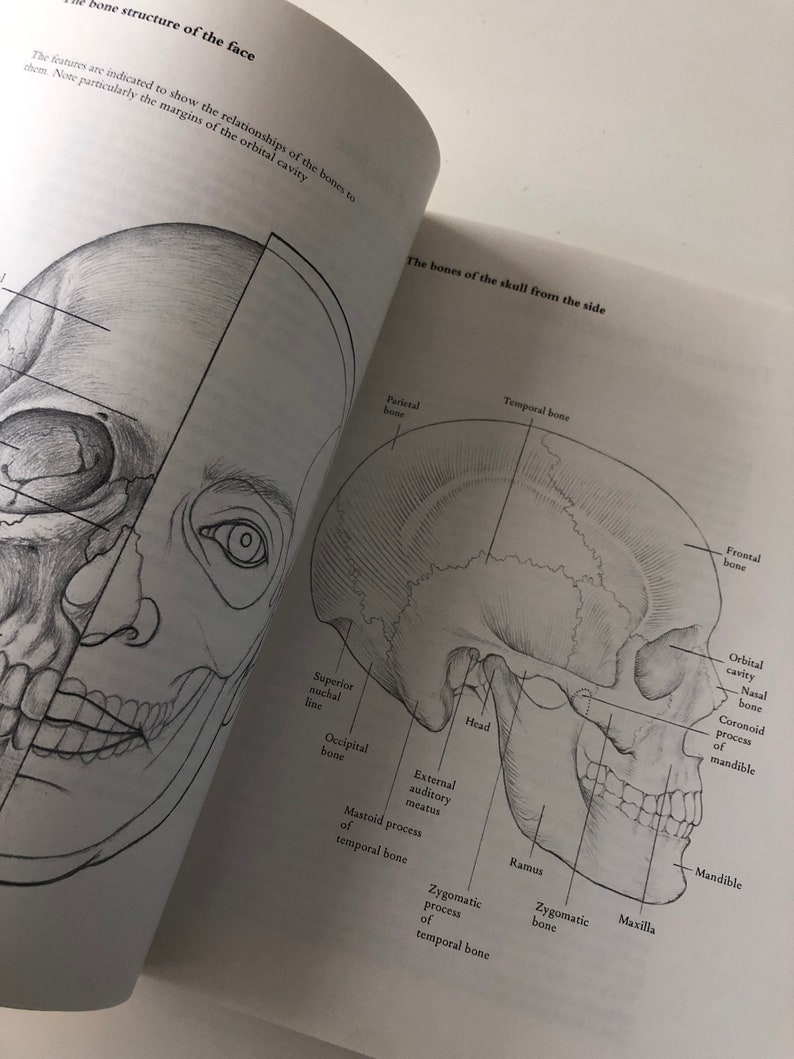 How to Draw A Human Head Techniques and Anatomy - Etsy