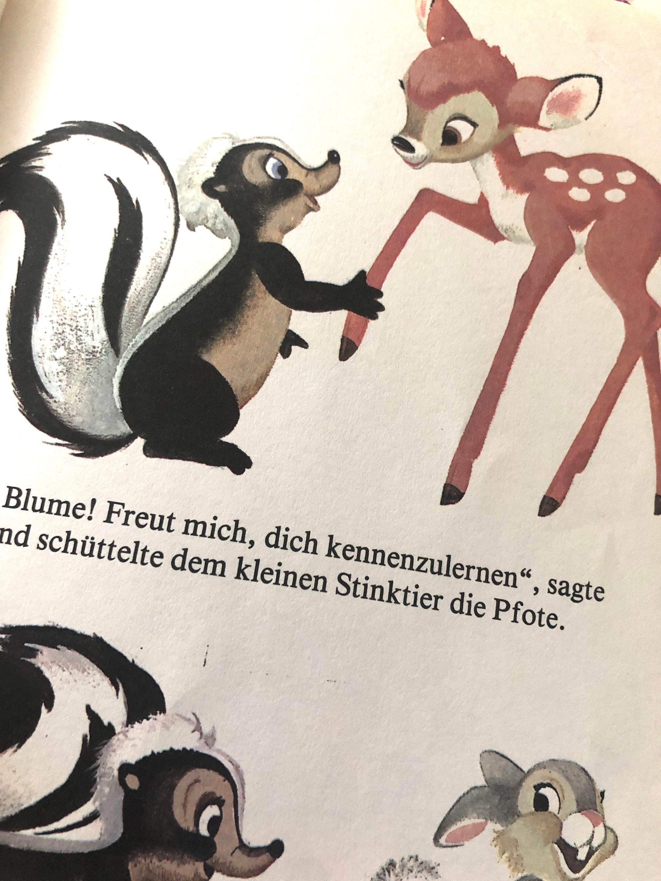 Walt Disney 5 German Hardcover Books Snow - Etsy