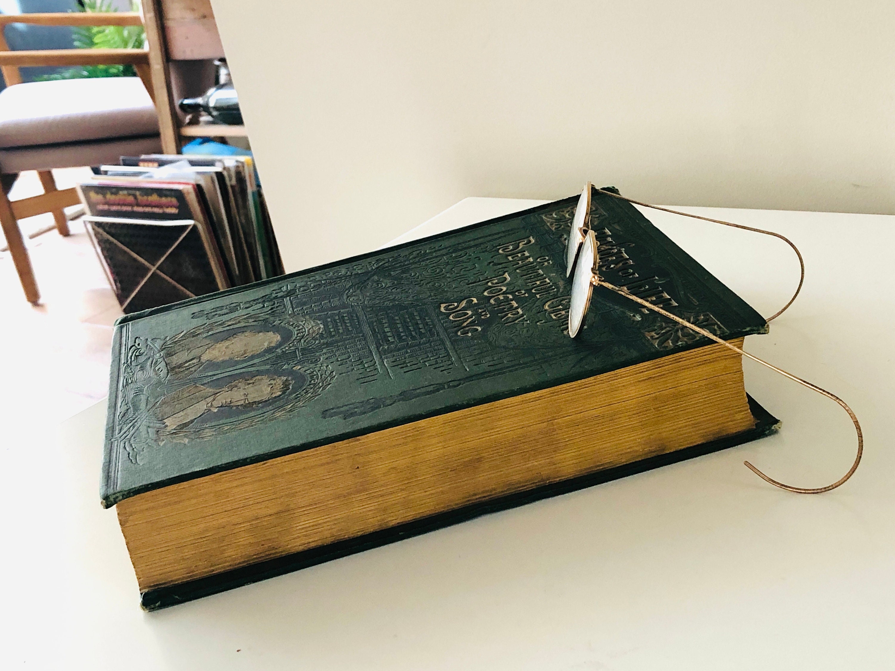 RARE 1890 Echoes of Life Beautiful Gems of Poetry and Songs Antiquarian ...