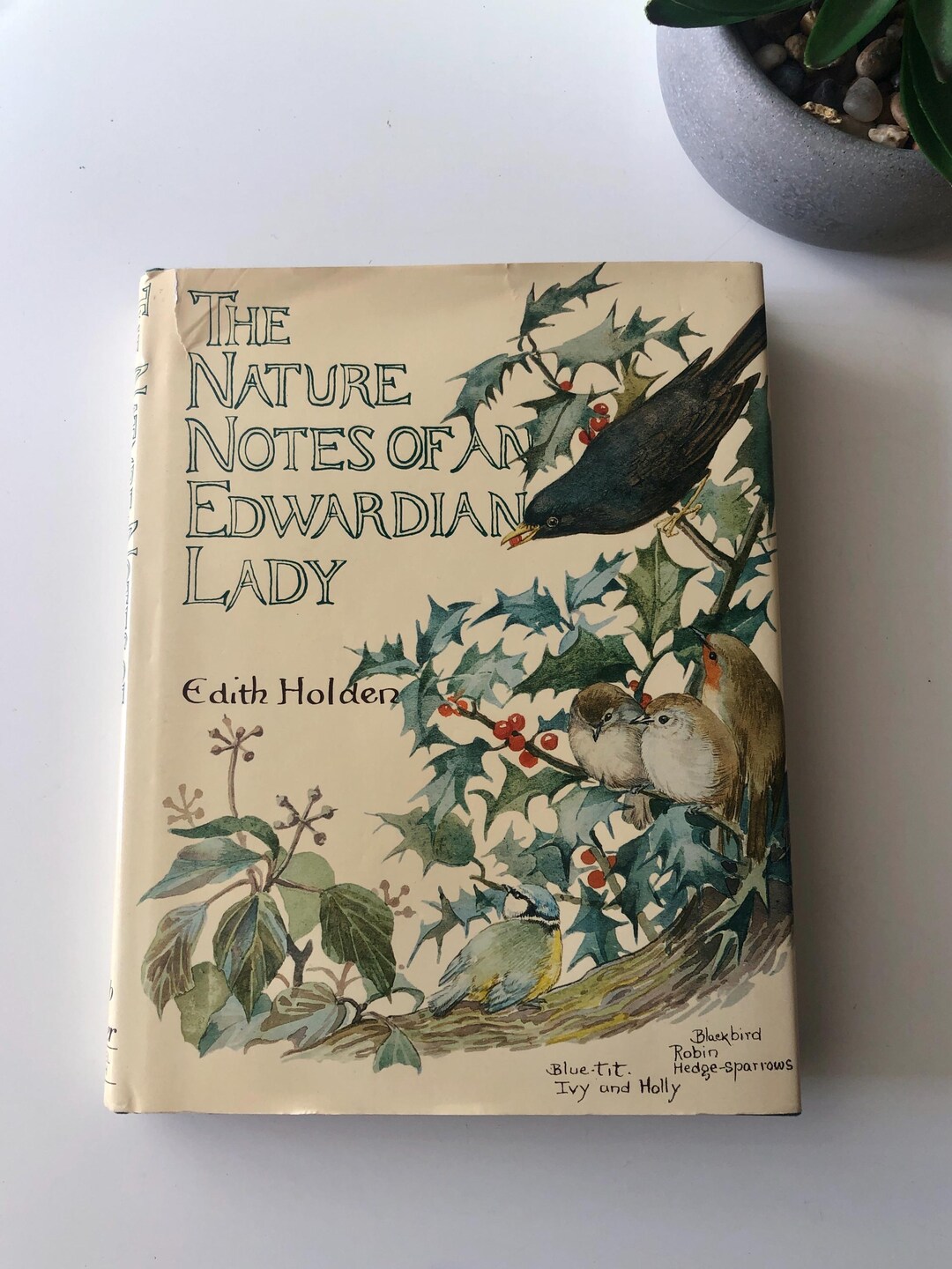 The Nature Notes of an Edwardian Lady by Edith Holden 1989 Hardcover ...