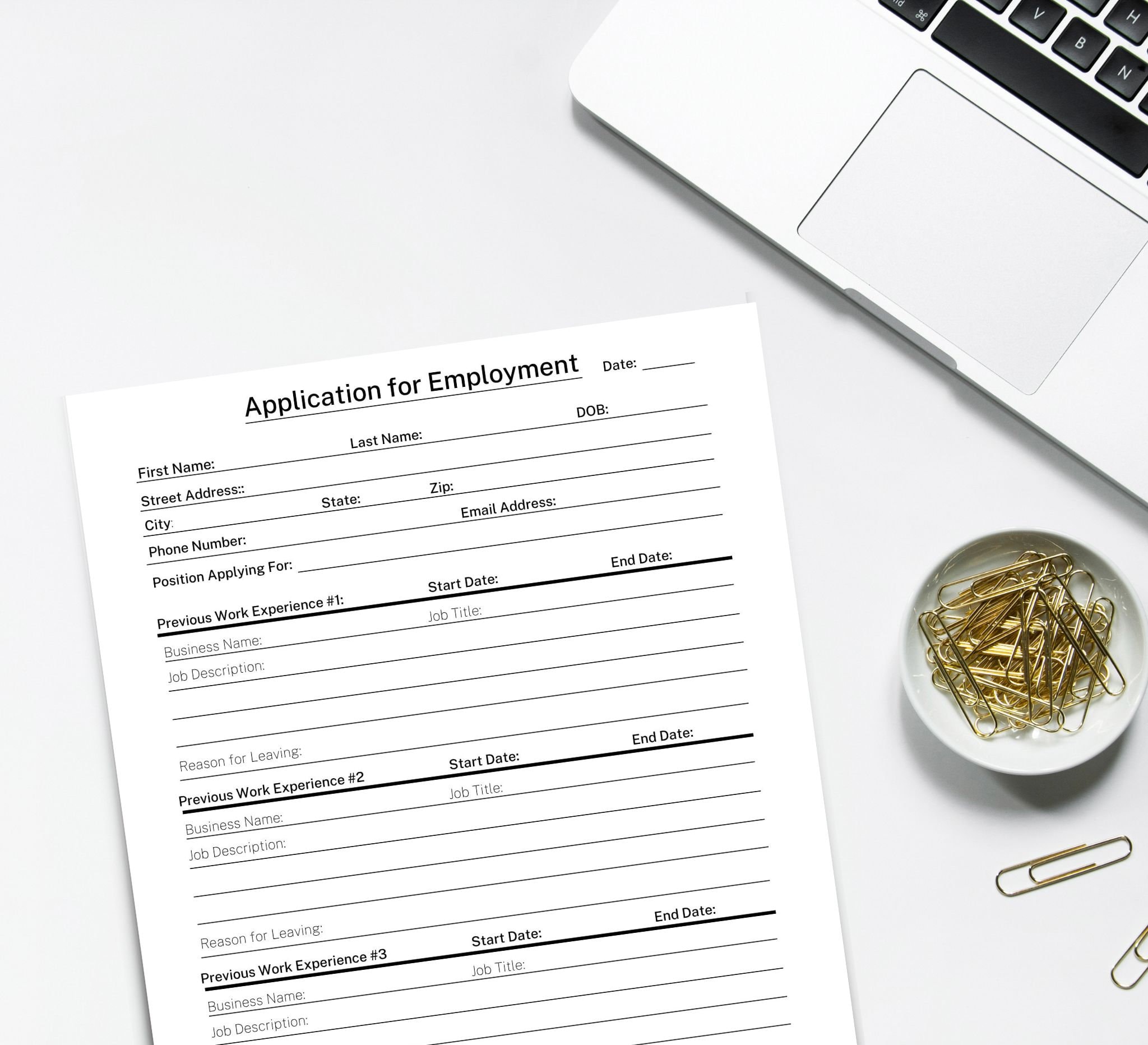 Application for Employment Printable Job Application Digital - Etsy