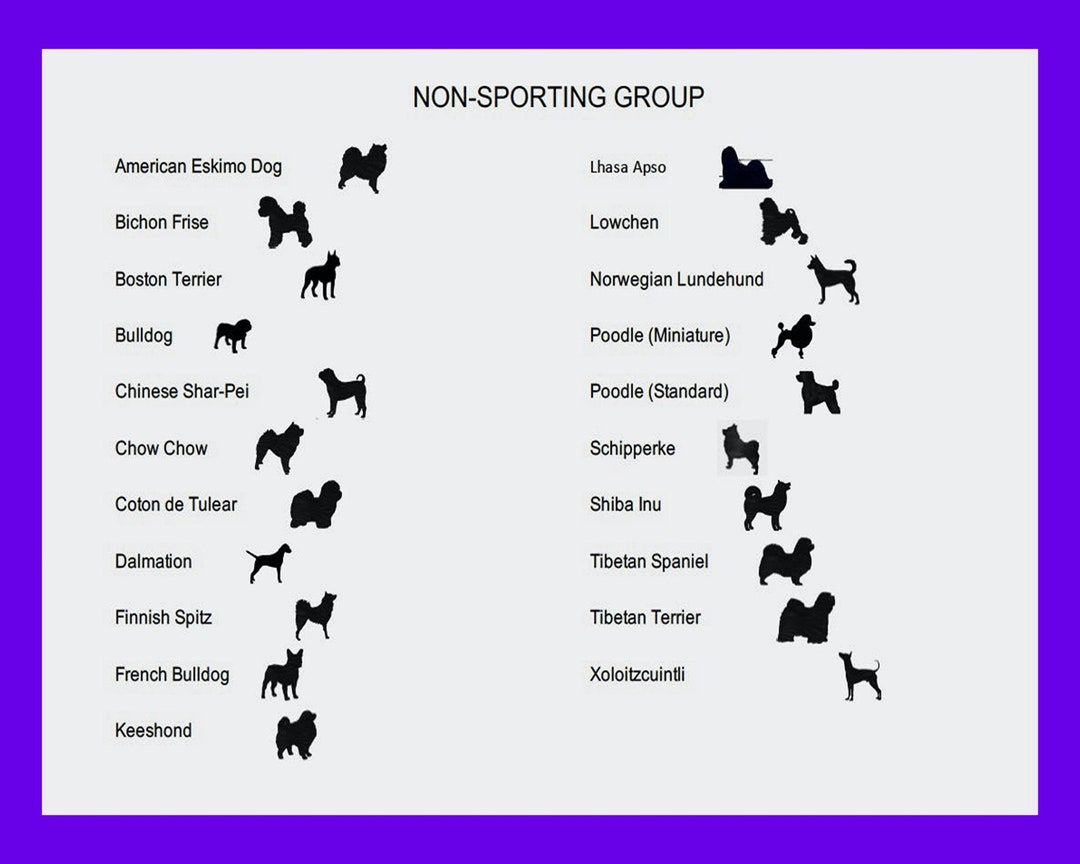 Non-sporting Group Ornaments/magnets, Companion Dogs, Personalized Dogs ...
