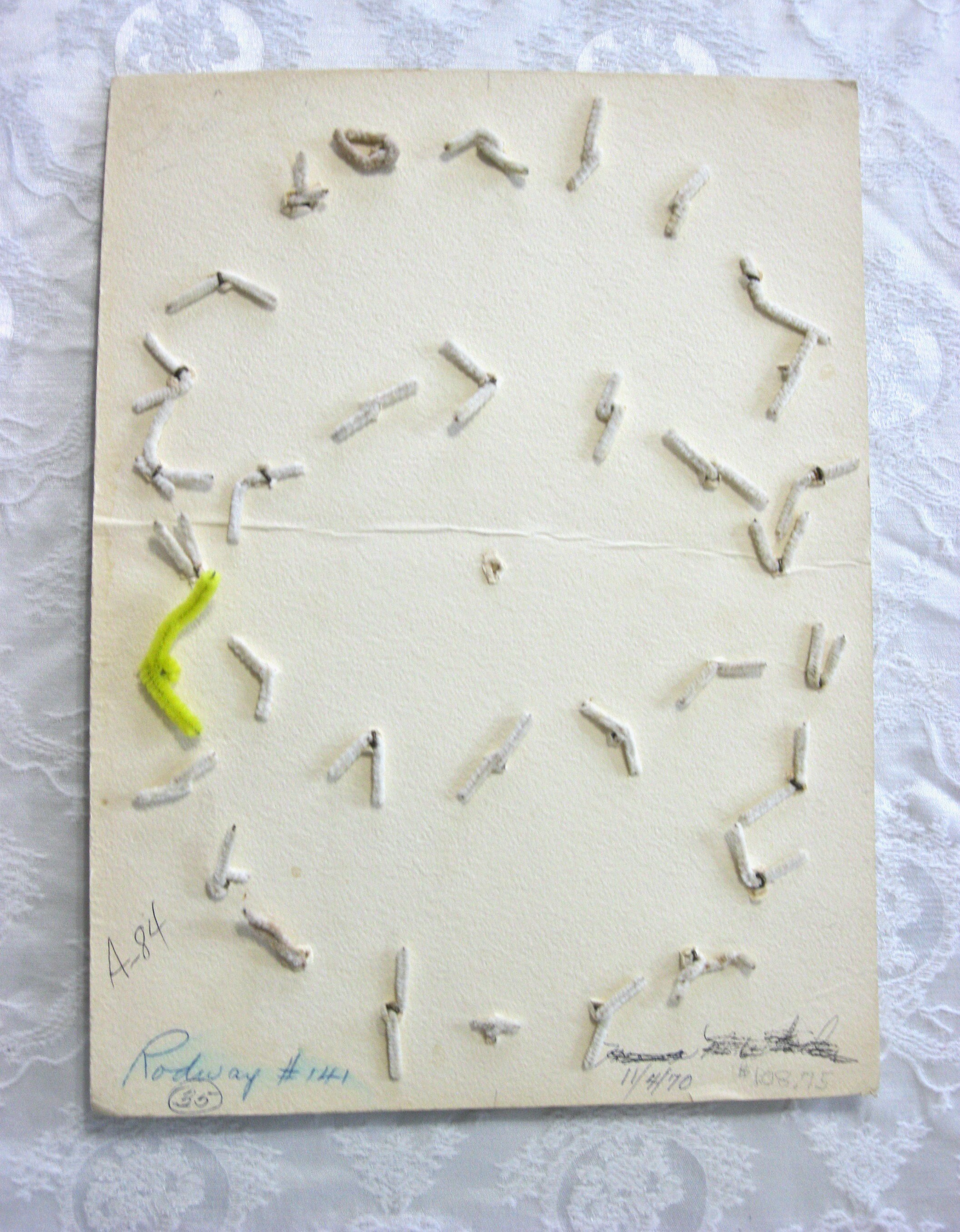 Antique / Vintage Victorian Black Glass Button Display / Competition ...