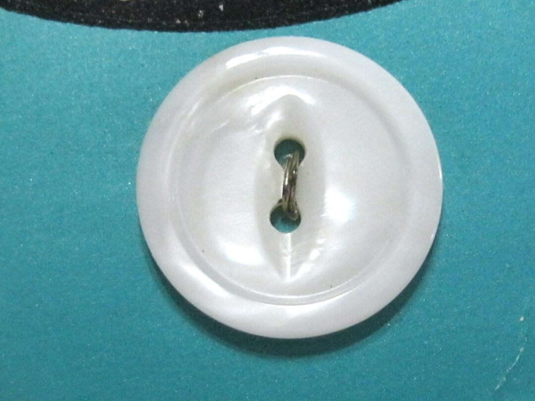 Genuine Clam Shell Buttons - Vintage Antique New / Old Stock on ...