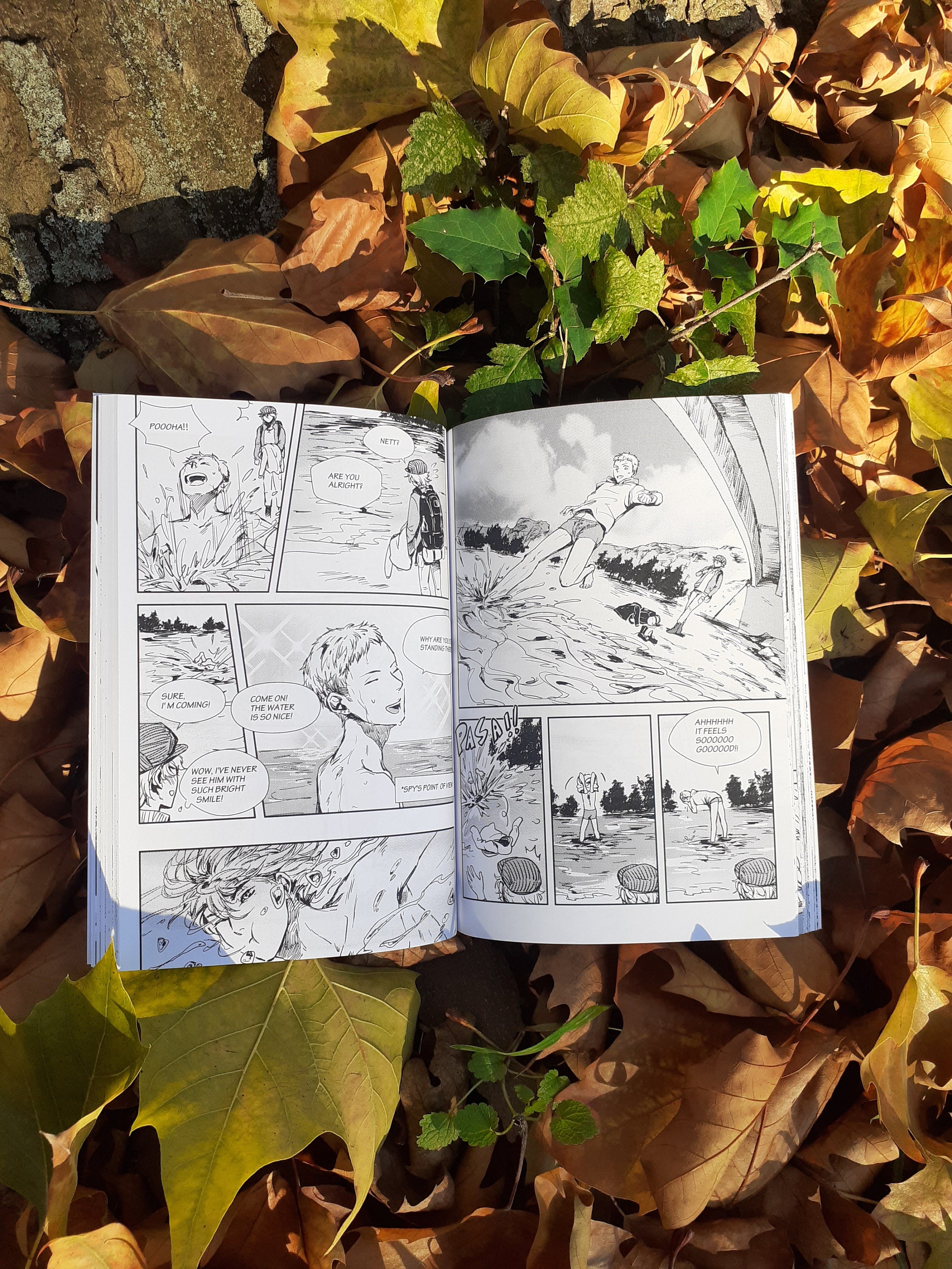 Train Boys: Adventure&yaoi Manga of Riding Freight Trains (paperback ...